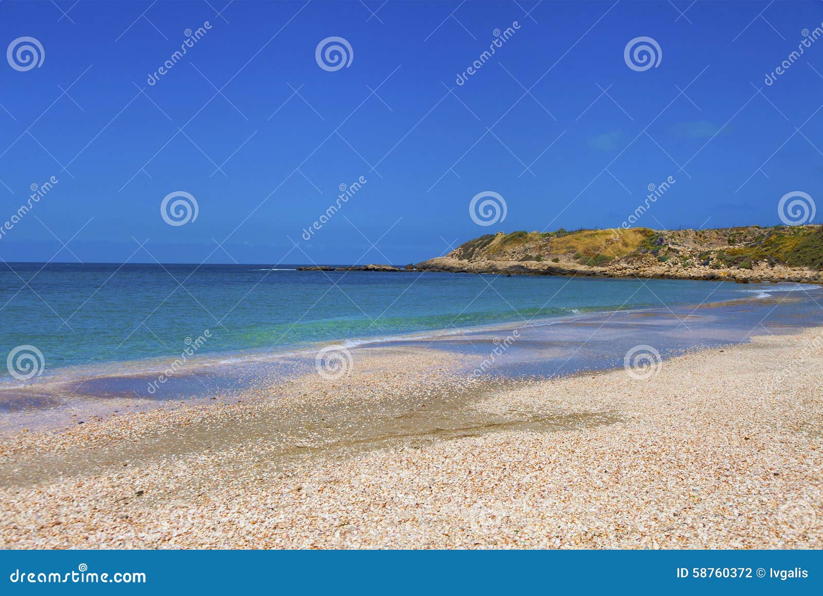 Seashell-covered Beach and Distant Horizon Stock Photo - Image of ...