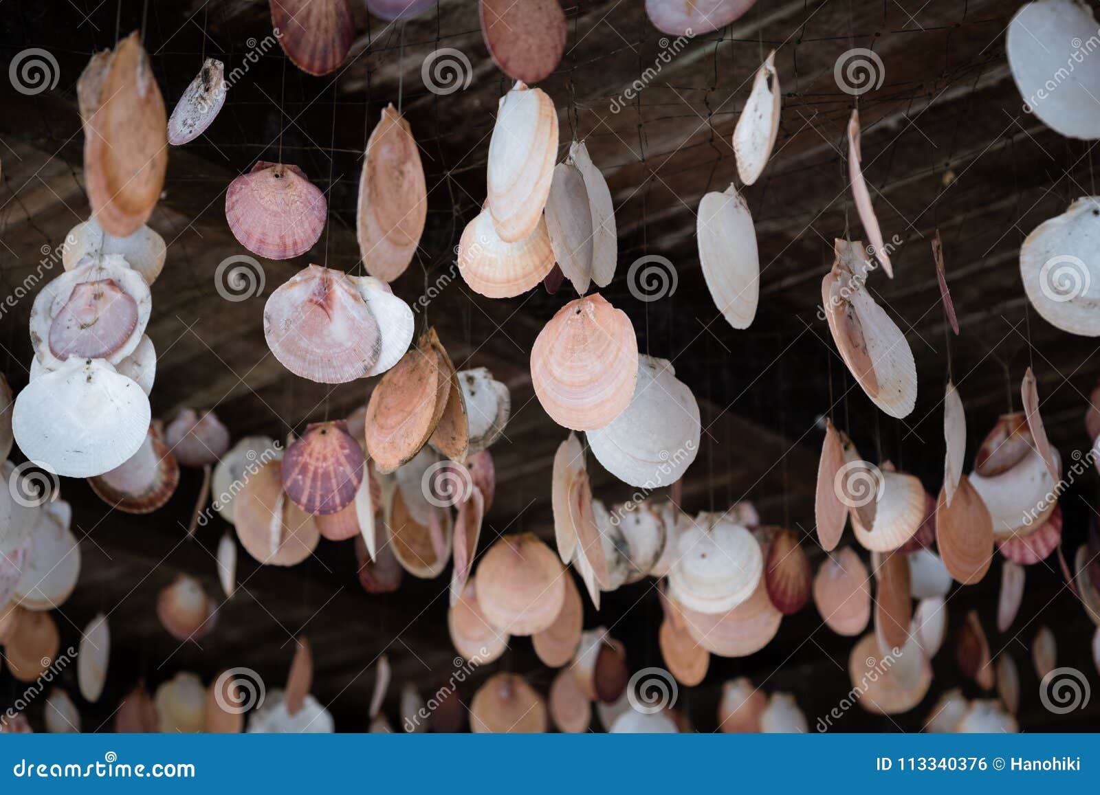 Seashell Decoration - Shell Pattern Hanging on Ceiling - Travel Stock ...