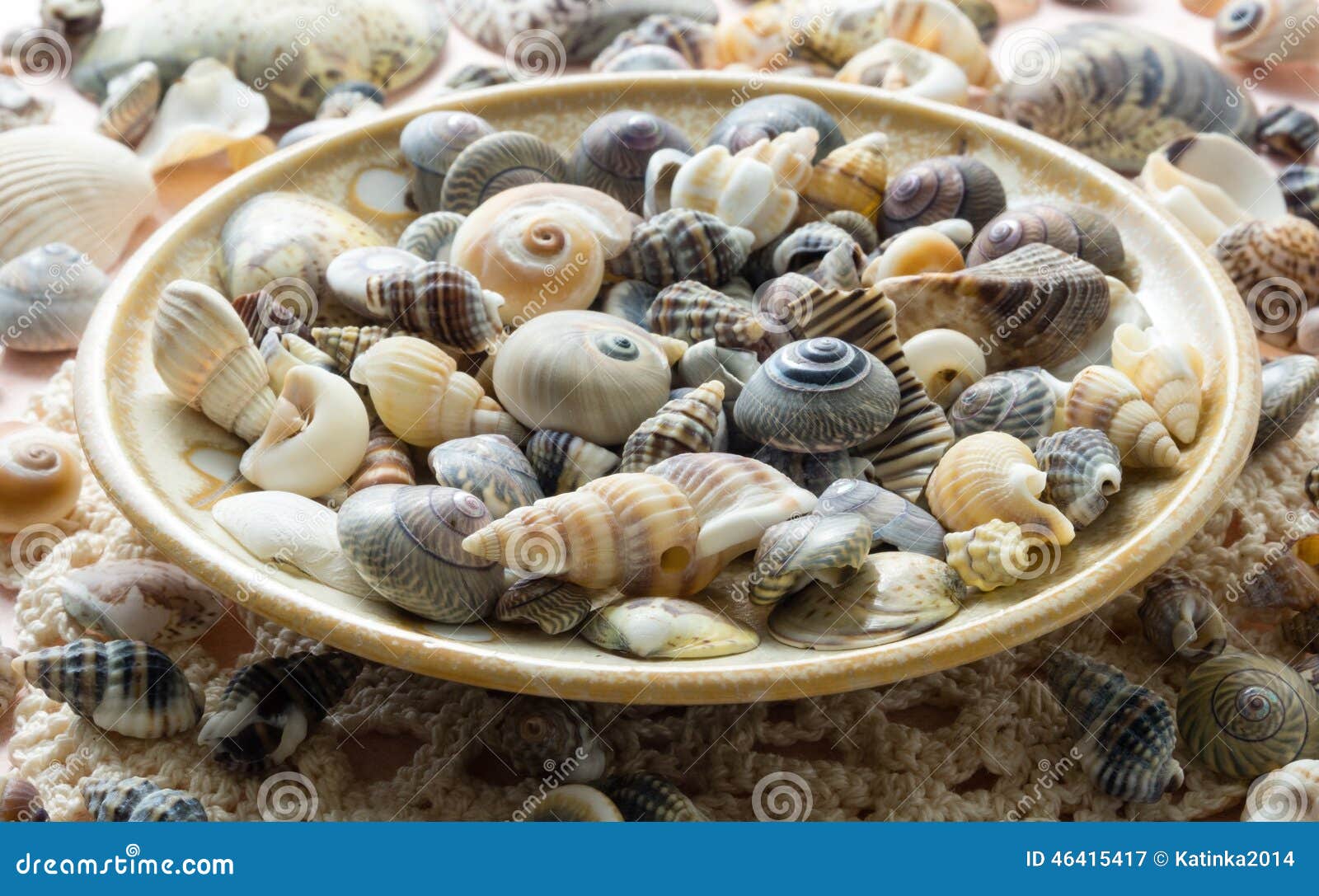 Seashell dish stock image. Image of memory, vacation - 46415417