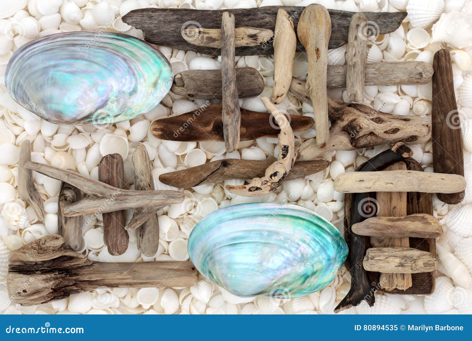 Seashell and Driftwood Abstract Stock Image - Image of pattern, mother ...