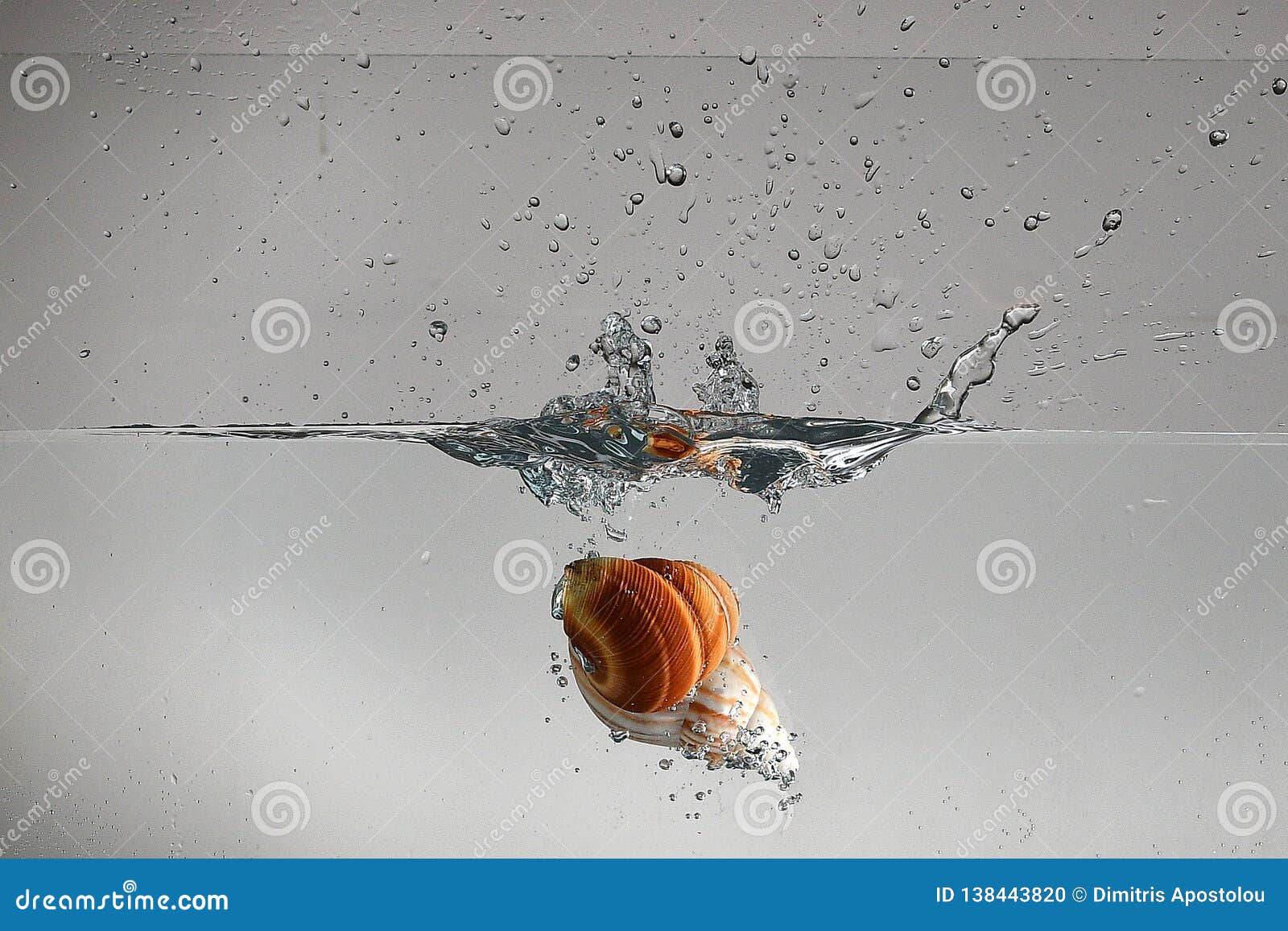 Seashell Dropping in the Water Making Stock Photo - Image of close ...