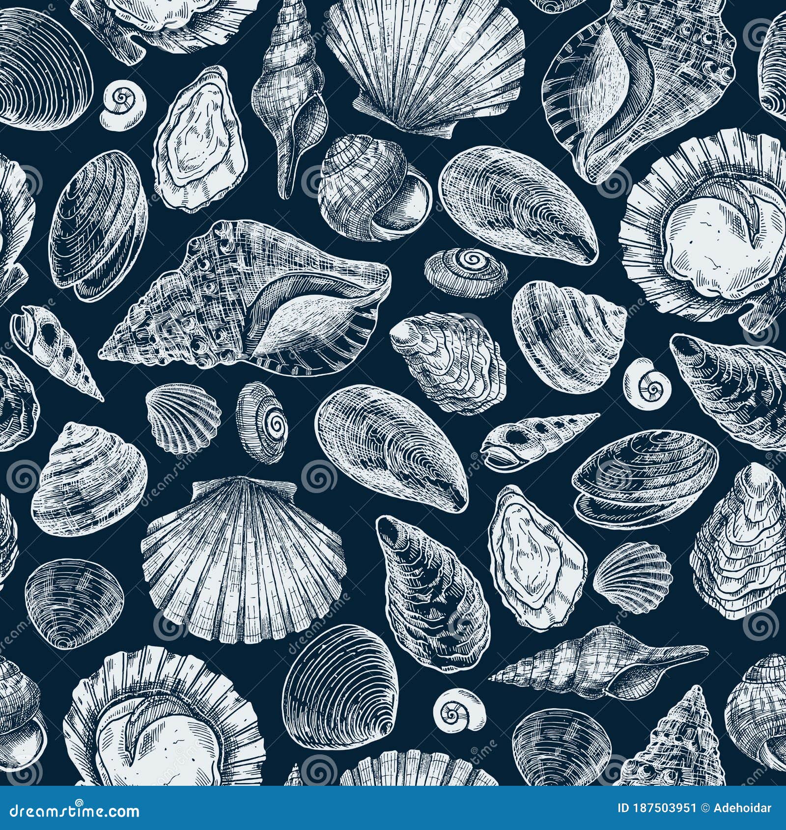 Seashell Elegant Seamless Pattern. Engraved Style Elements. Various ...