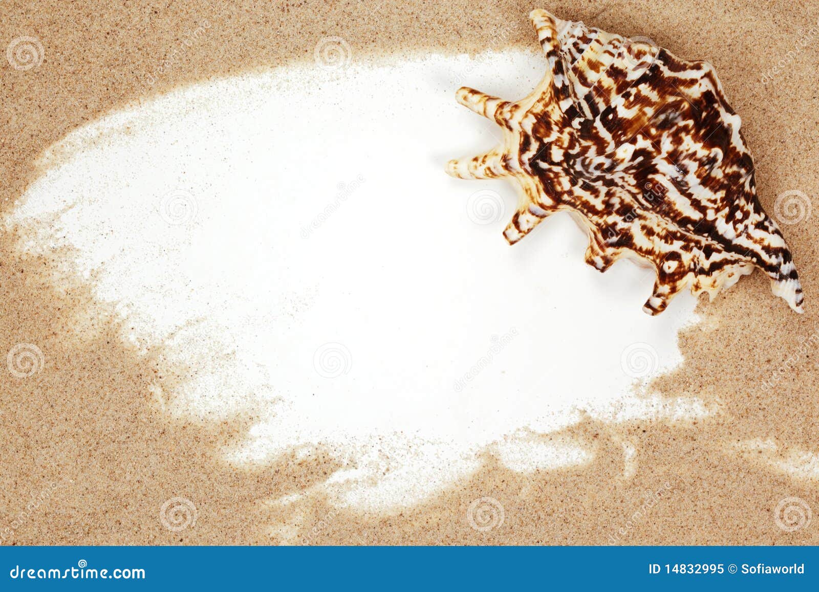 Seashell En Marco De La Playa De La Arena Imagen de archivo - Imagen de ...