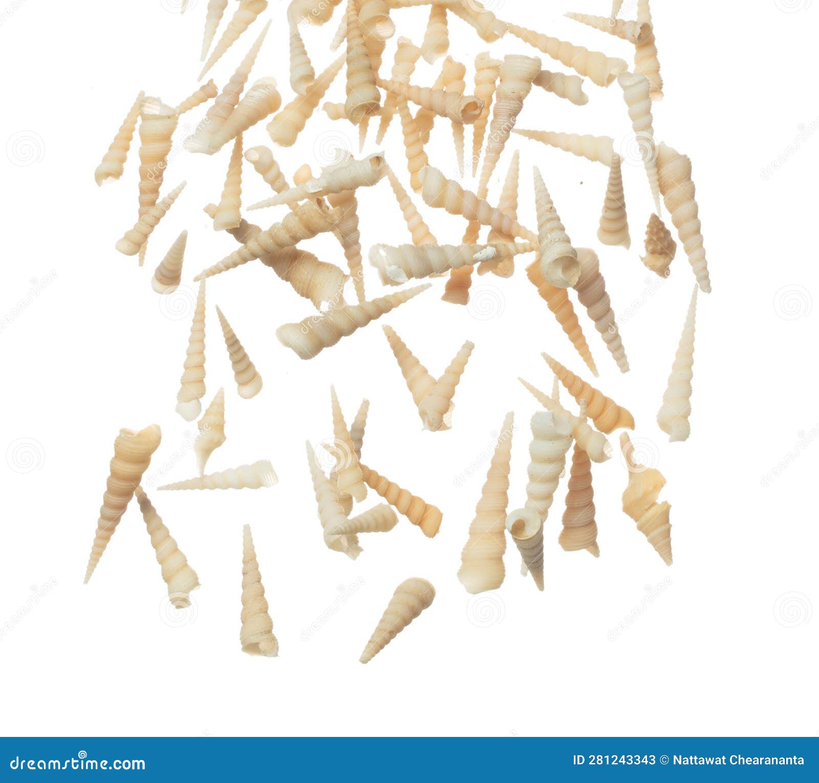 Seashell Fall Splashing in Air. Sea Shell Explosion Flying, Abstract ...