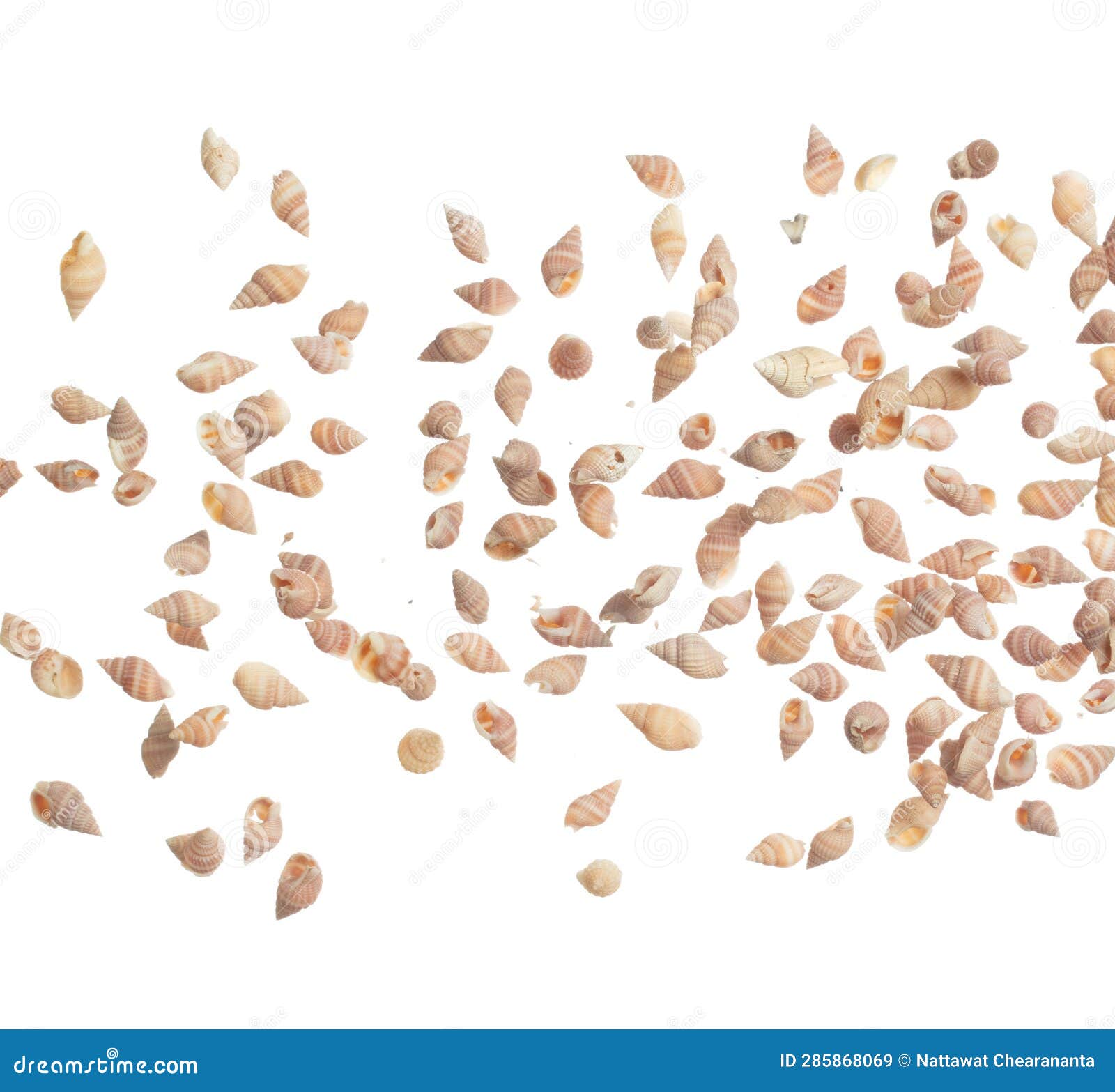 Seashell Fall Splashing in Air. Sea Shell Explosion Flying, Abstract ...