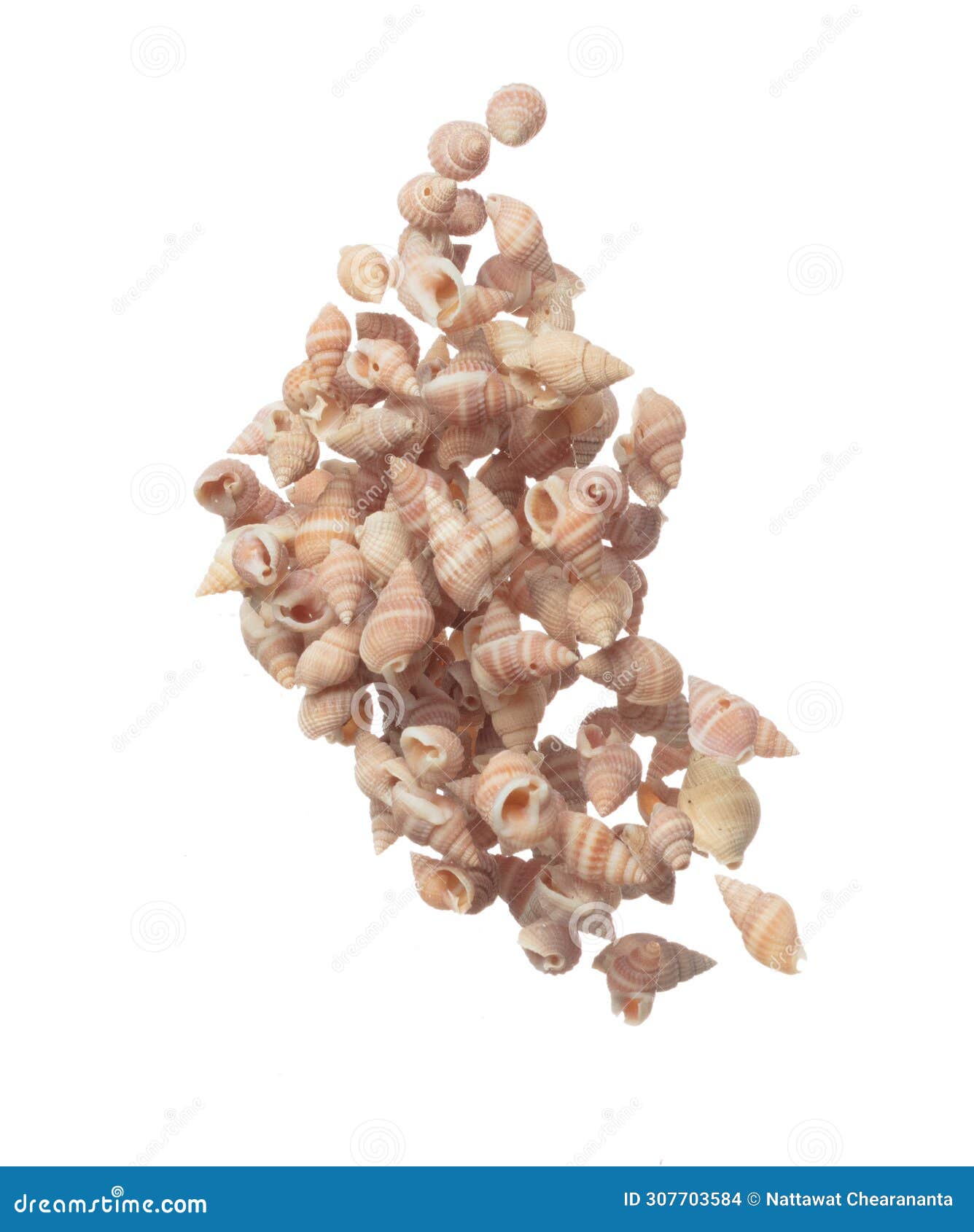 Seashell Fall Splashing in Air. Sea Shell Explosion Flying, Abstract ...