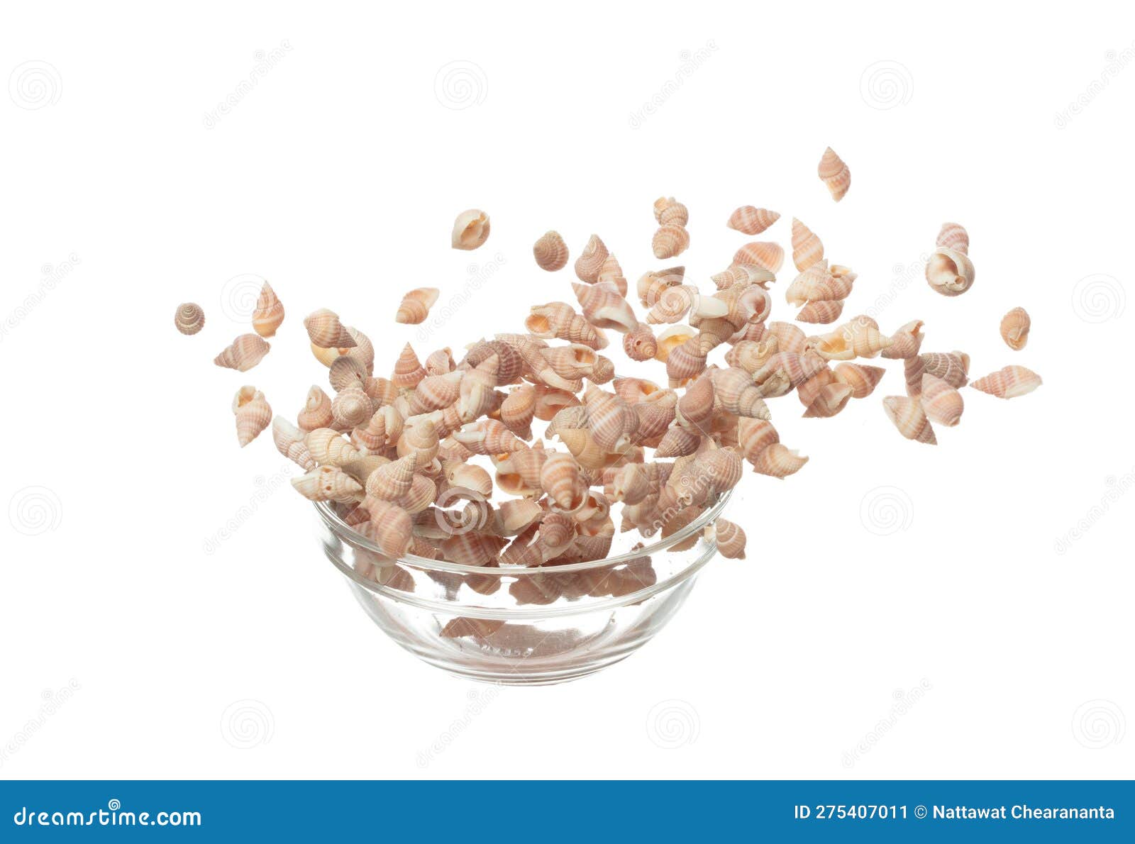 Seashell Fall Splashing in Air. Sea Shell Explosion Flying, Abstract ...