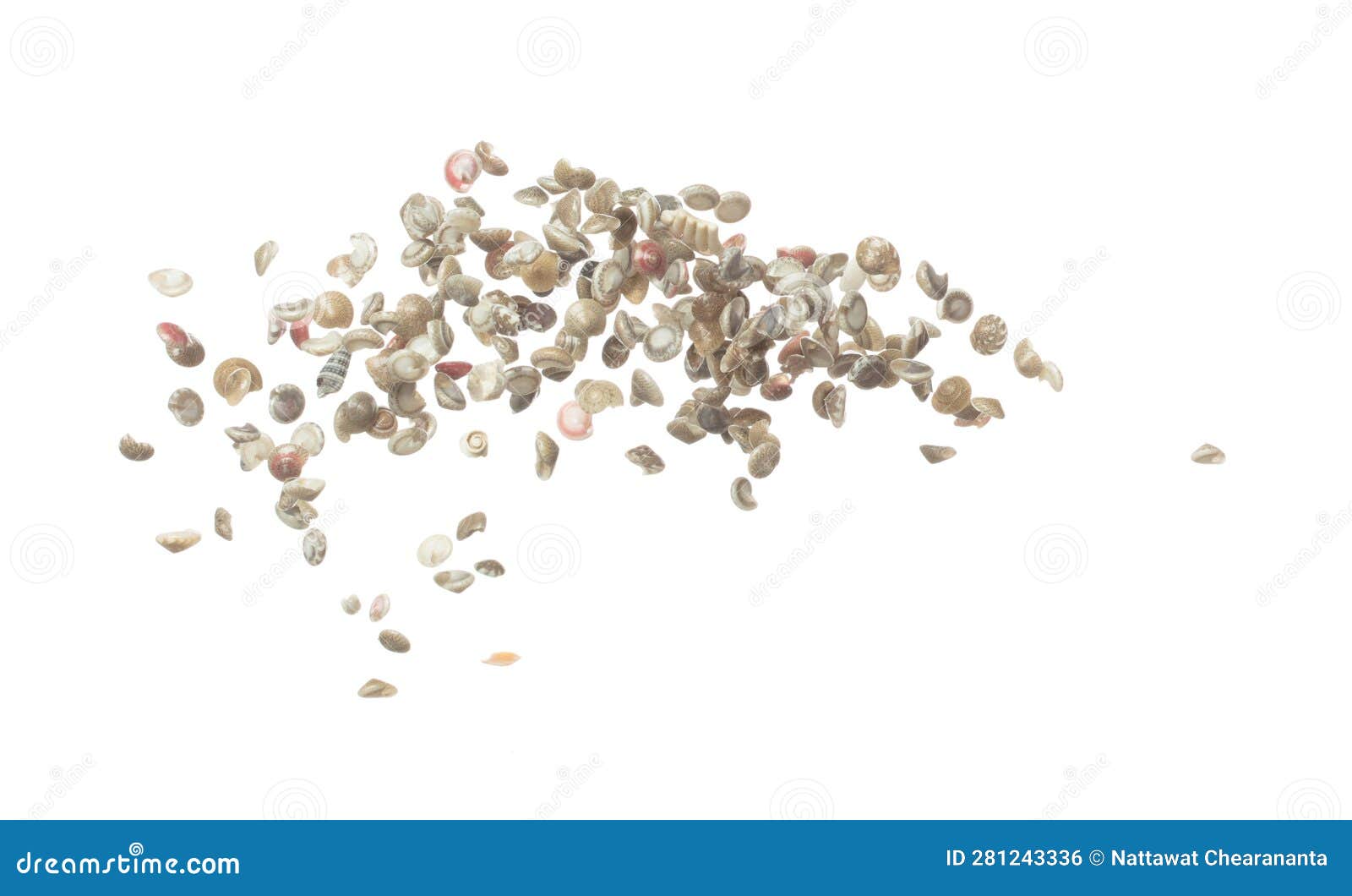 Seashell Fall Splashing in Air. Sea Shell Explosion Flying, Abstract ...