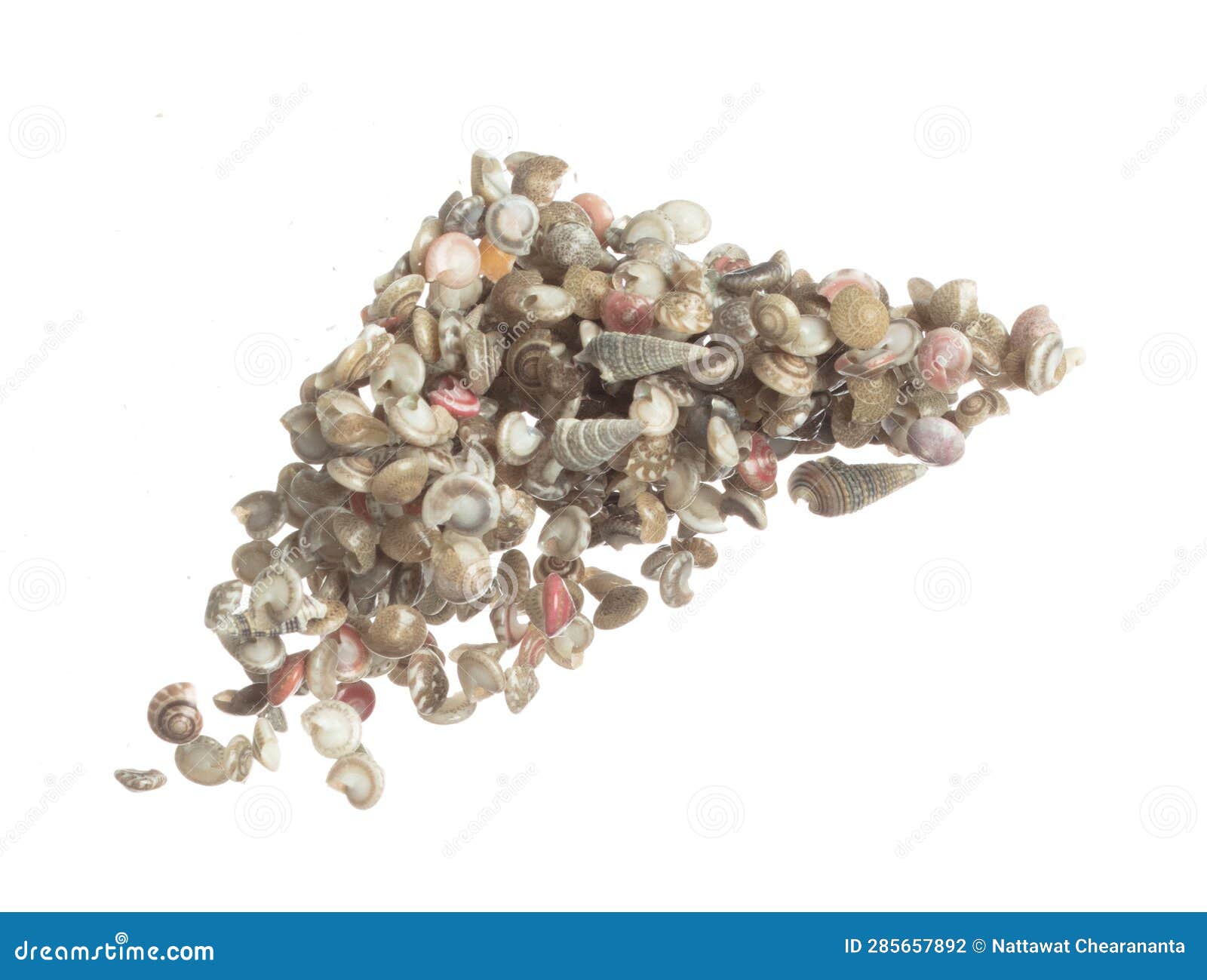 Seashell Fall Splashing in Air. Sea Shell Explosion Flying, Abstract ...