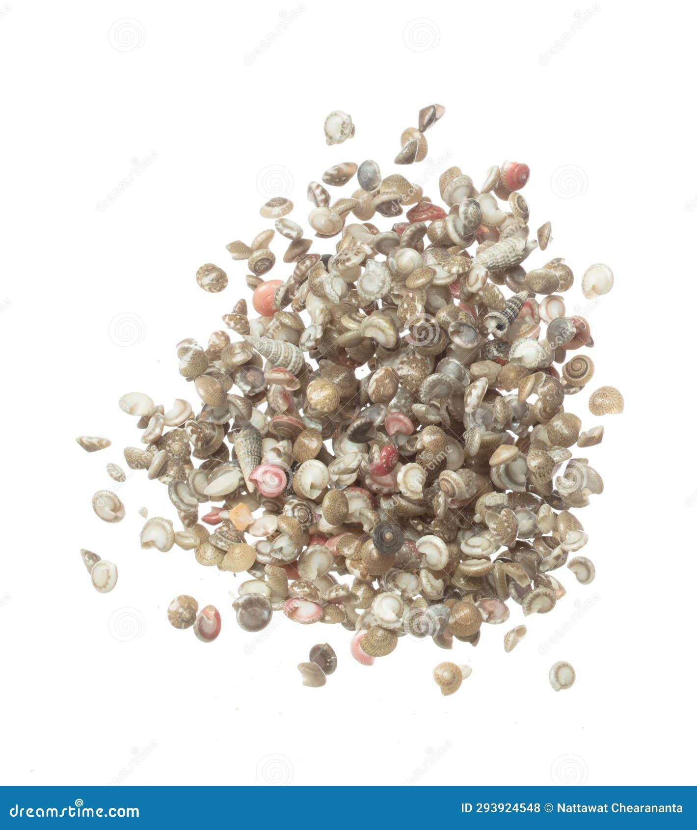 Seashell Fall Splashing in Air. Sea Shell Explosion Flying, Abstract ...