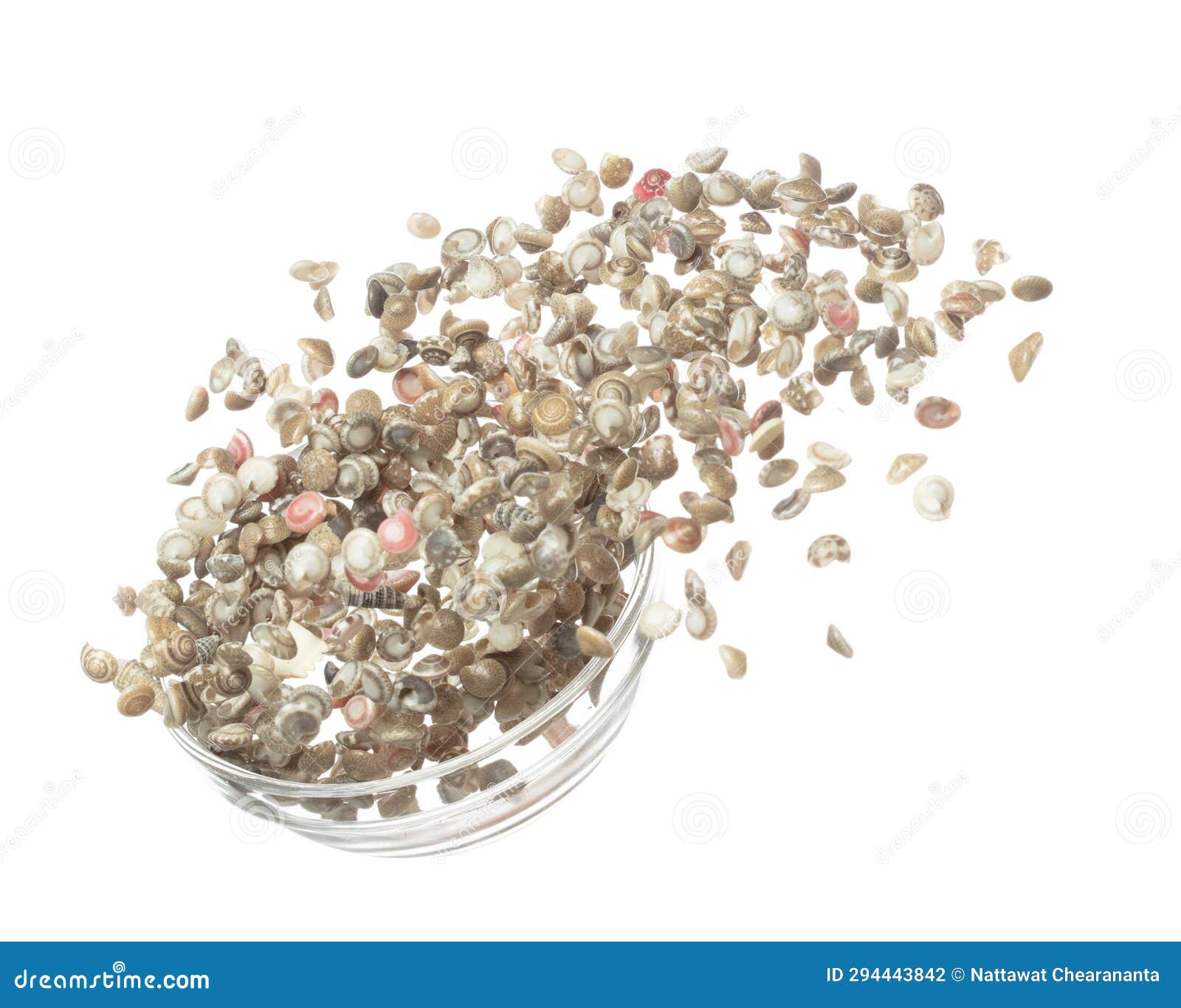 Seashell Fall Splashing in Air. Sea Shell Explosion Flying, Abstract ...