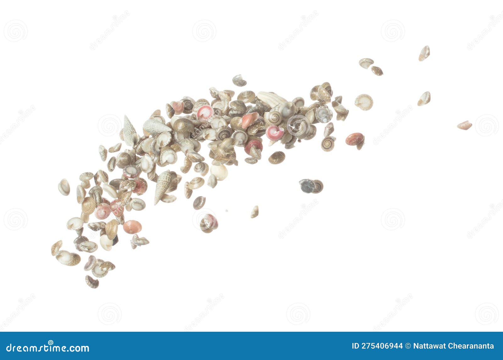 Seashell Fall Splashing in Air. Sea Shell Explosion Flying, Abstract ...