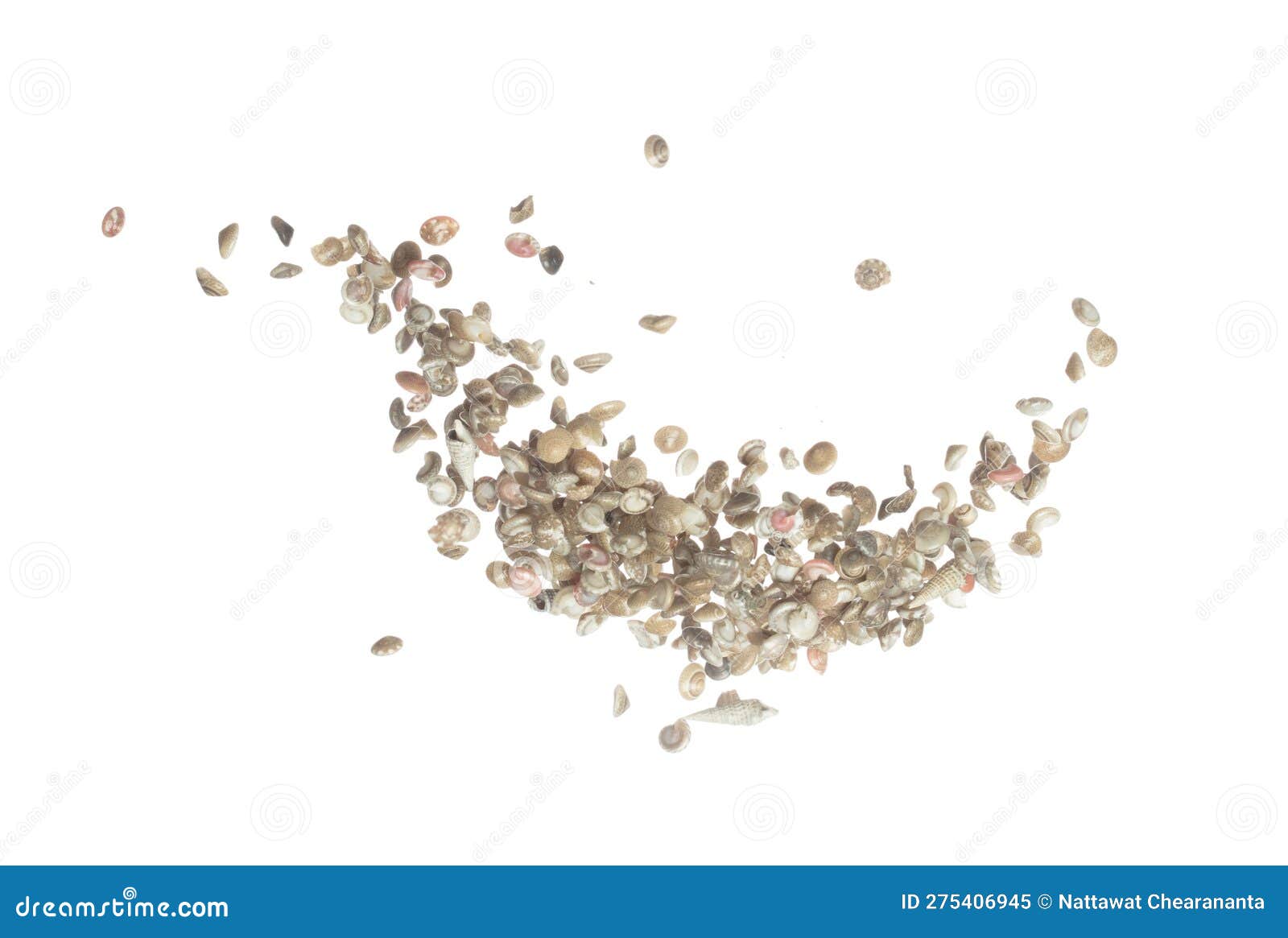 Seashell Fall Splashing in Air. Sea Shell Explosion Flying, Abstract ...