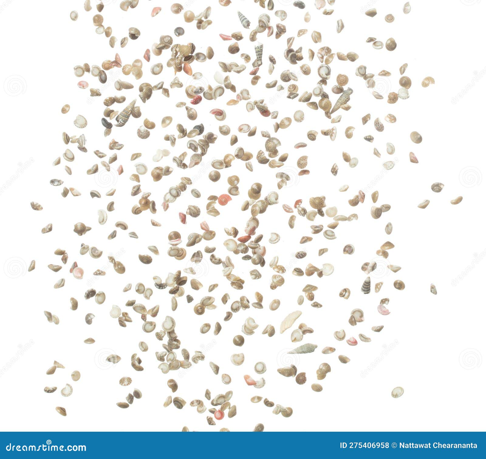 Seashell Fall Splashing in Air. Sea Shell Explosion Flying, Abstract ...