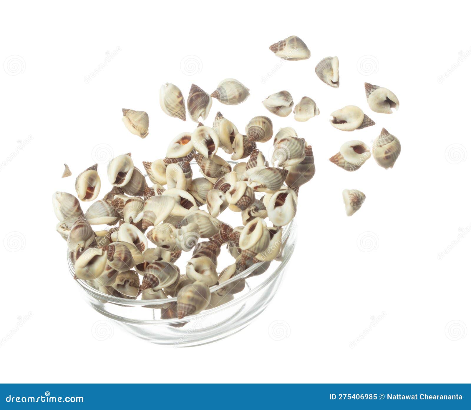 Seashell Fall Splashing in Air. Sea Shell Explosion Flying, Abstract ...