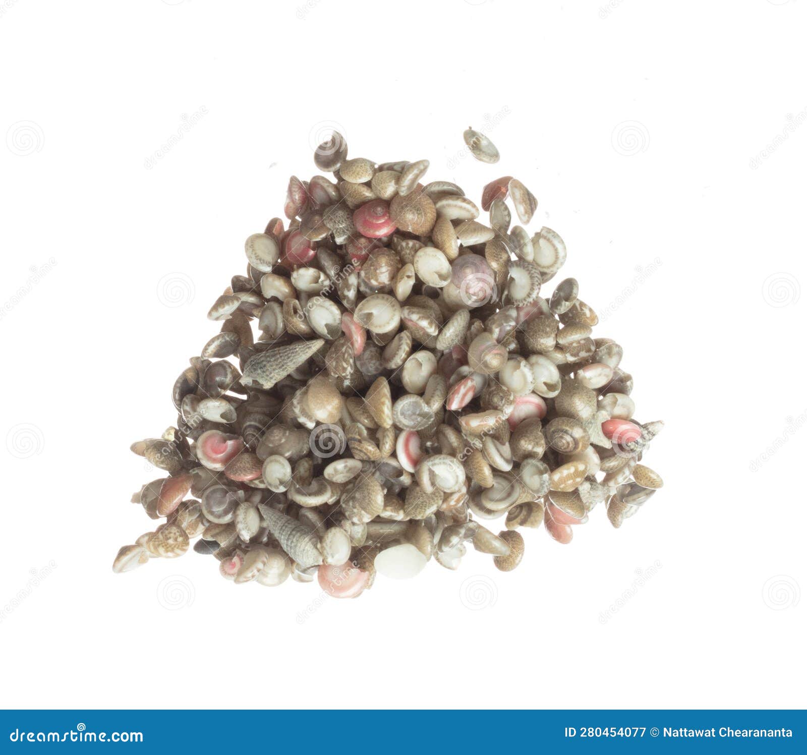 Seashell Fall Splashing in Air. Sea Shell Explosion Flying, Abstract ...