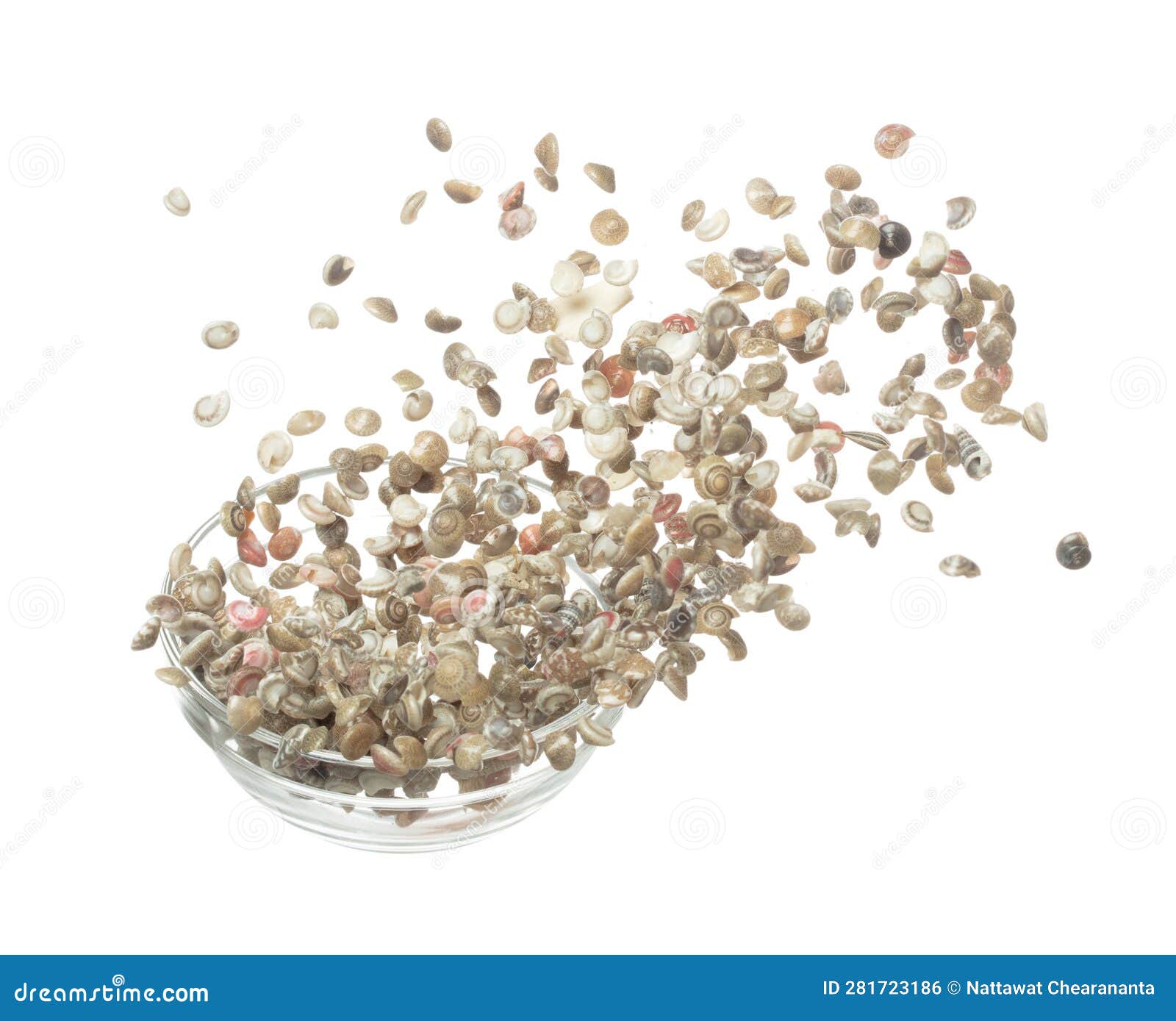 Seashell Fall Splashing in Air. Sea Shell Explosion Flying, Abstract ...