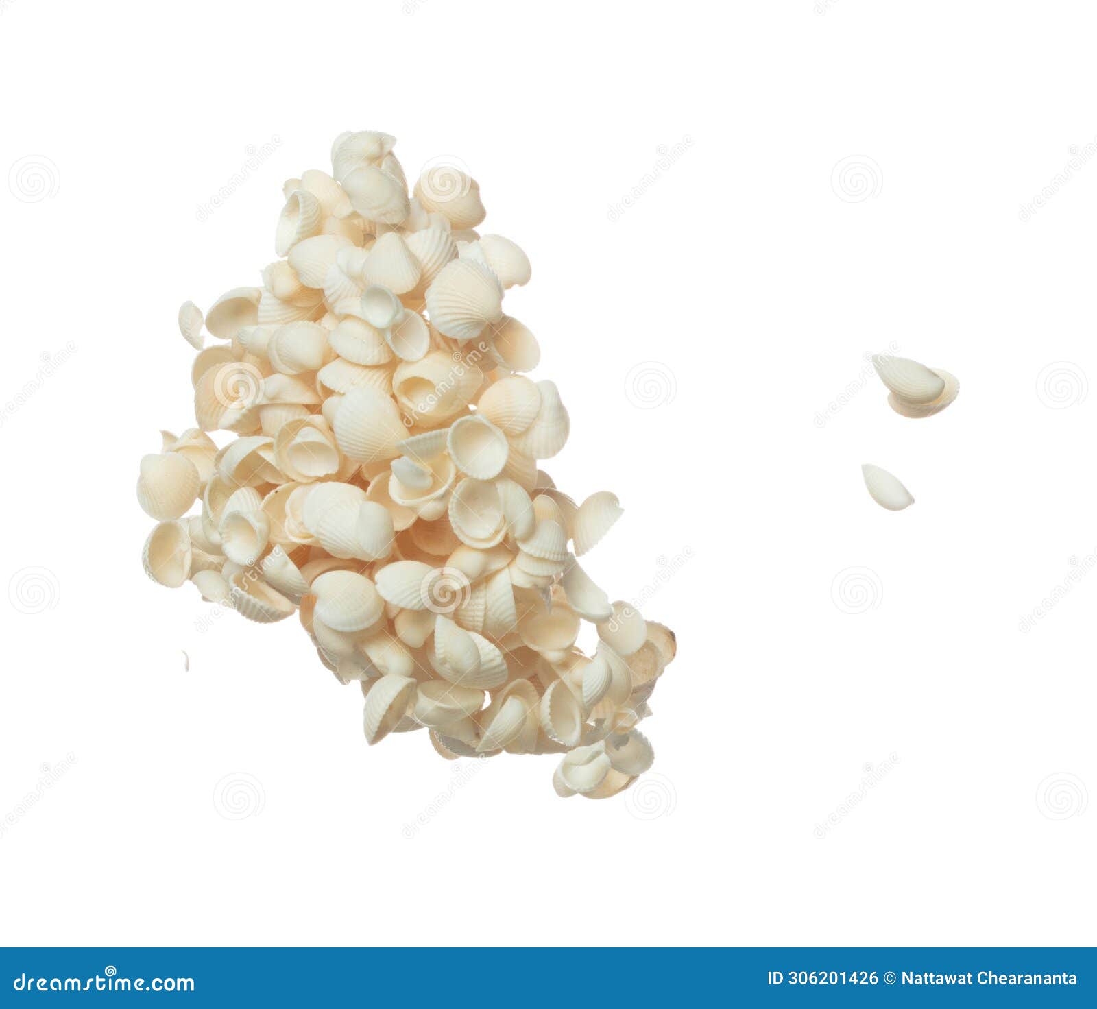 Seashell Fall Splashing in Air. Sea Shell Explosion Flying, Abstract ...