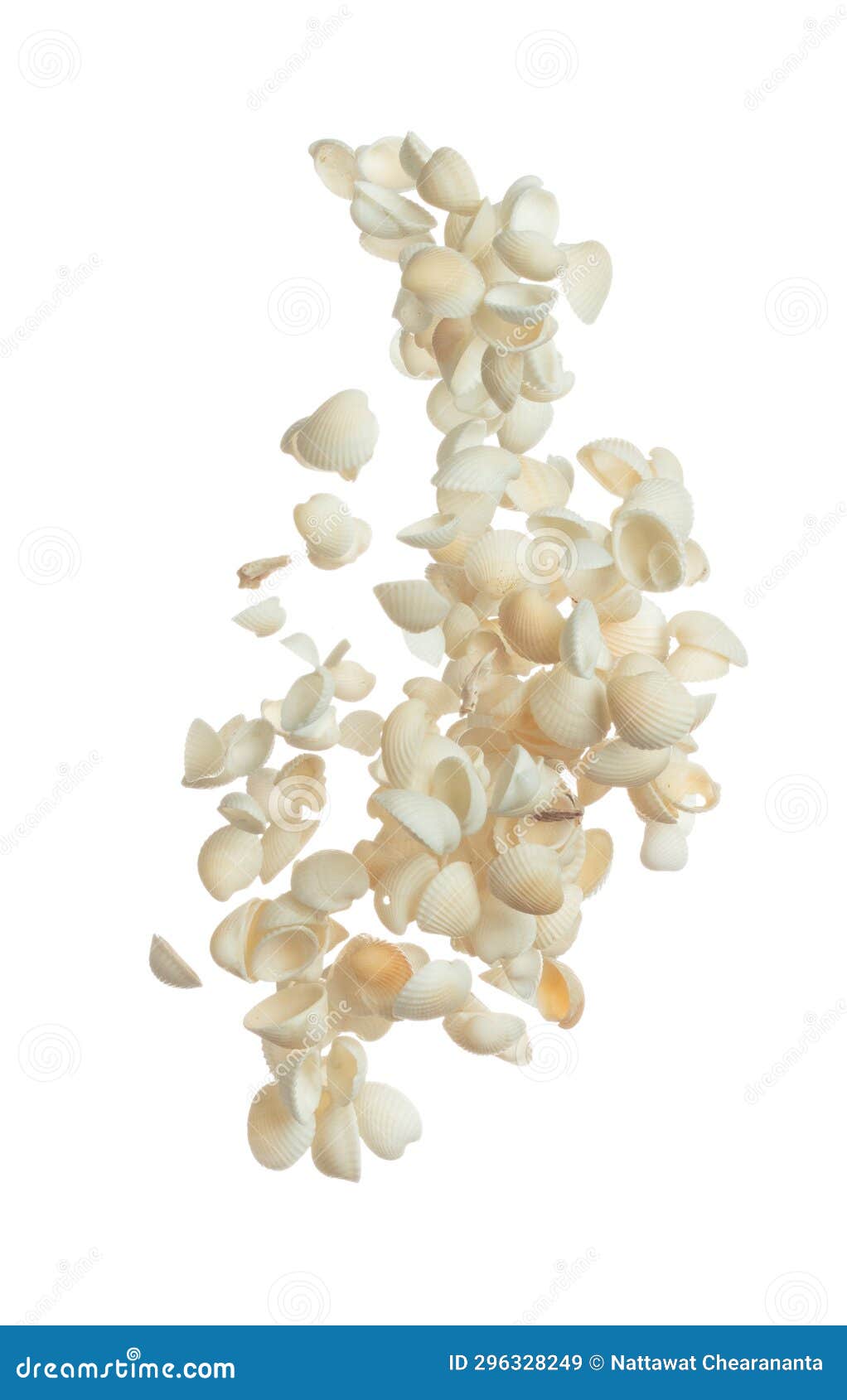 Seashell Fall Splashing in Air. Sea Shell Explosion Flying, Abstract ...