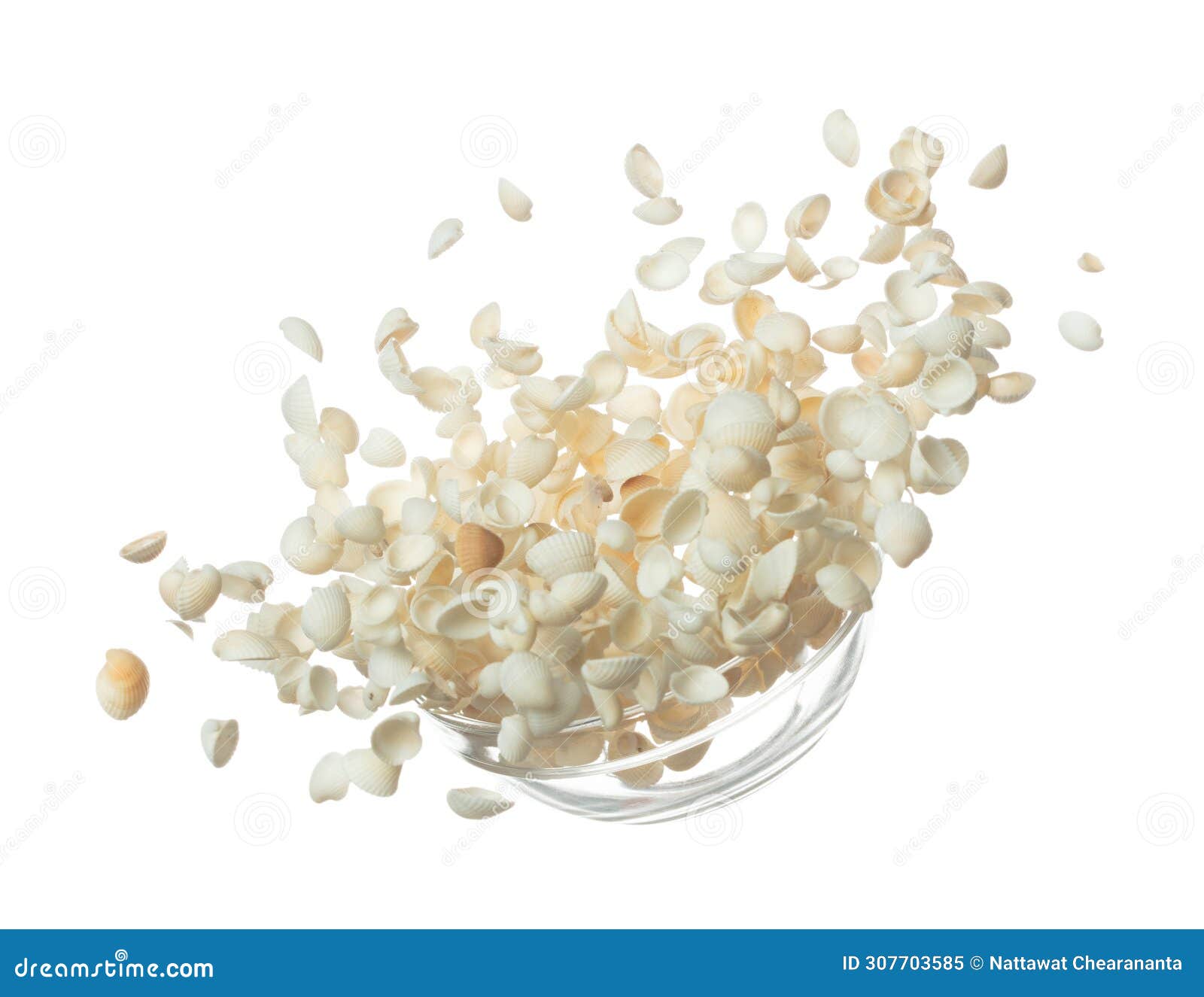 Seashell Fall Splashing in Air. Sea Shell Explosion Flying, Abstract ...