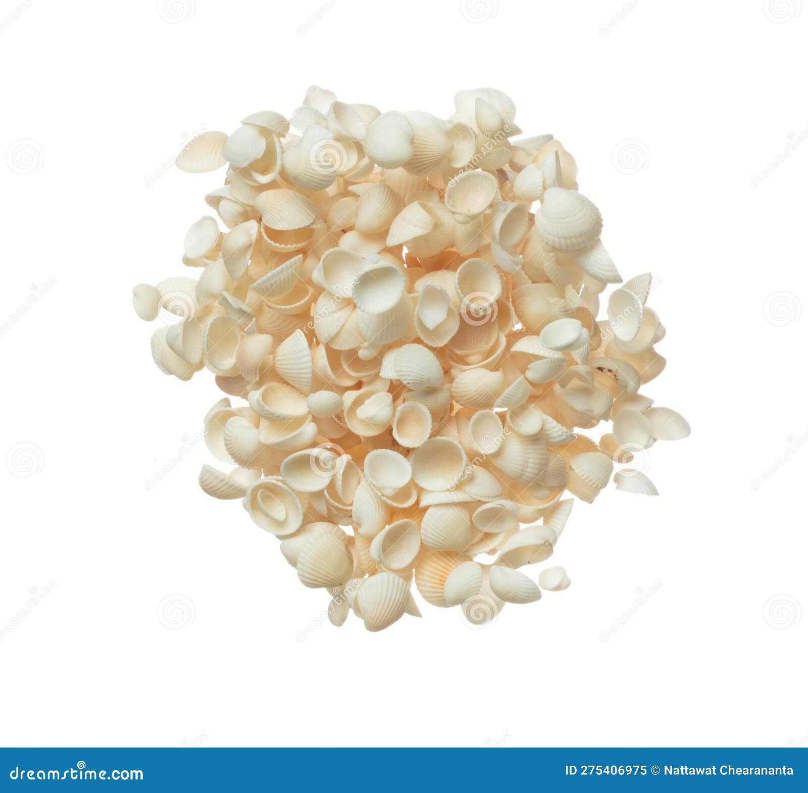 Seashell Fall Splashing in Air. Sea Shell Explosion Flying, Abstract ...