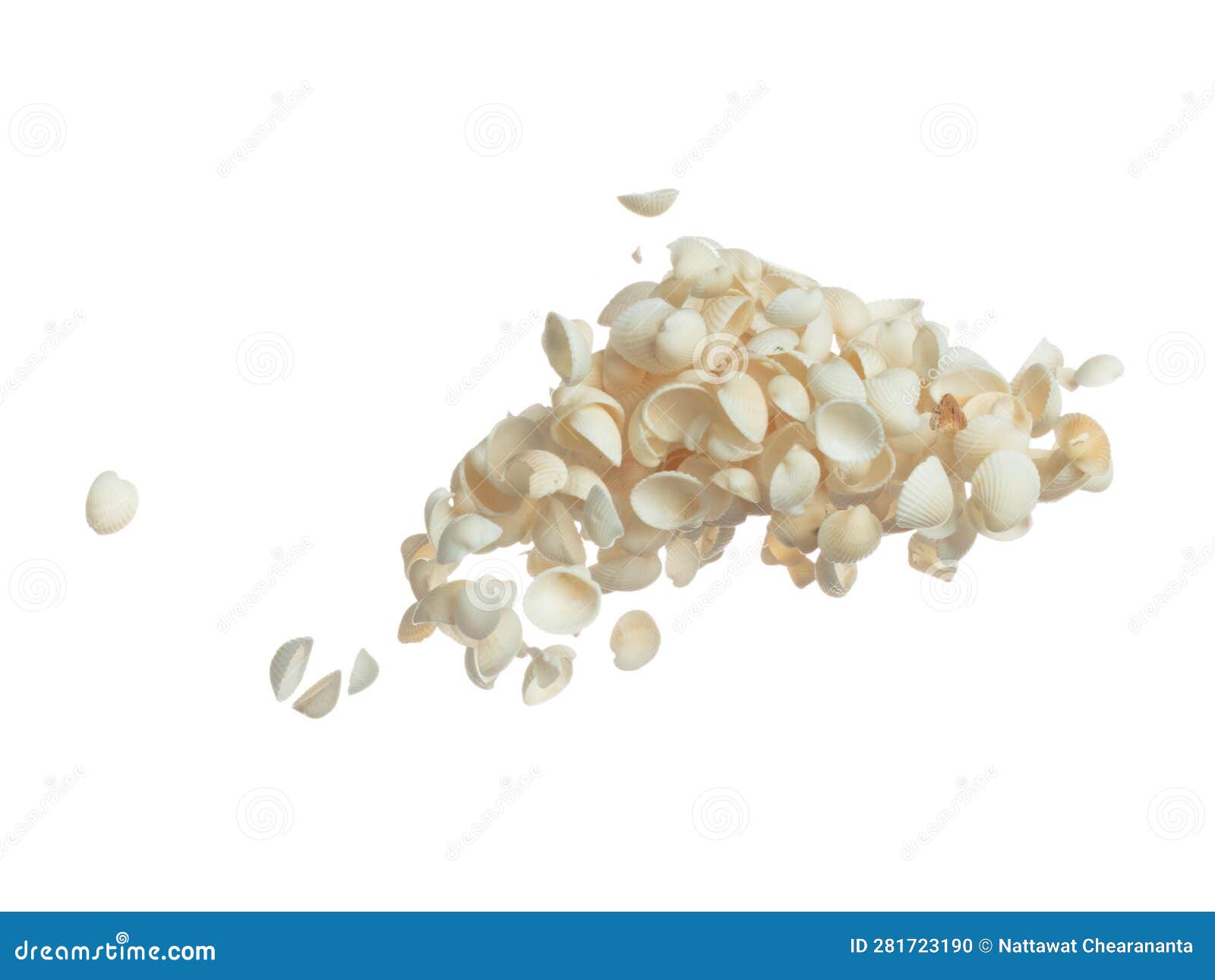 Seashell Fall Splashing in Air. Sea Shell Explosion Flying, Abstract ...