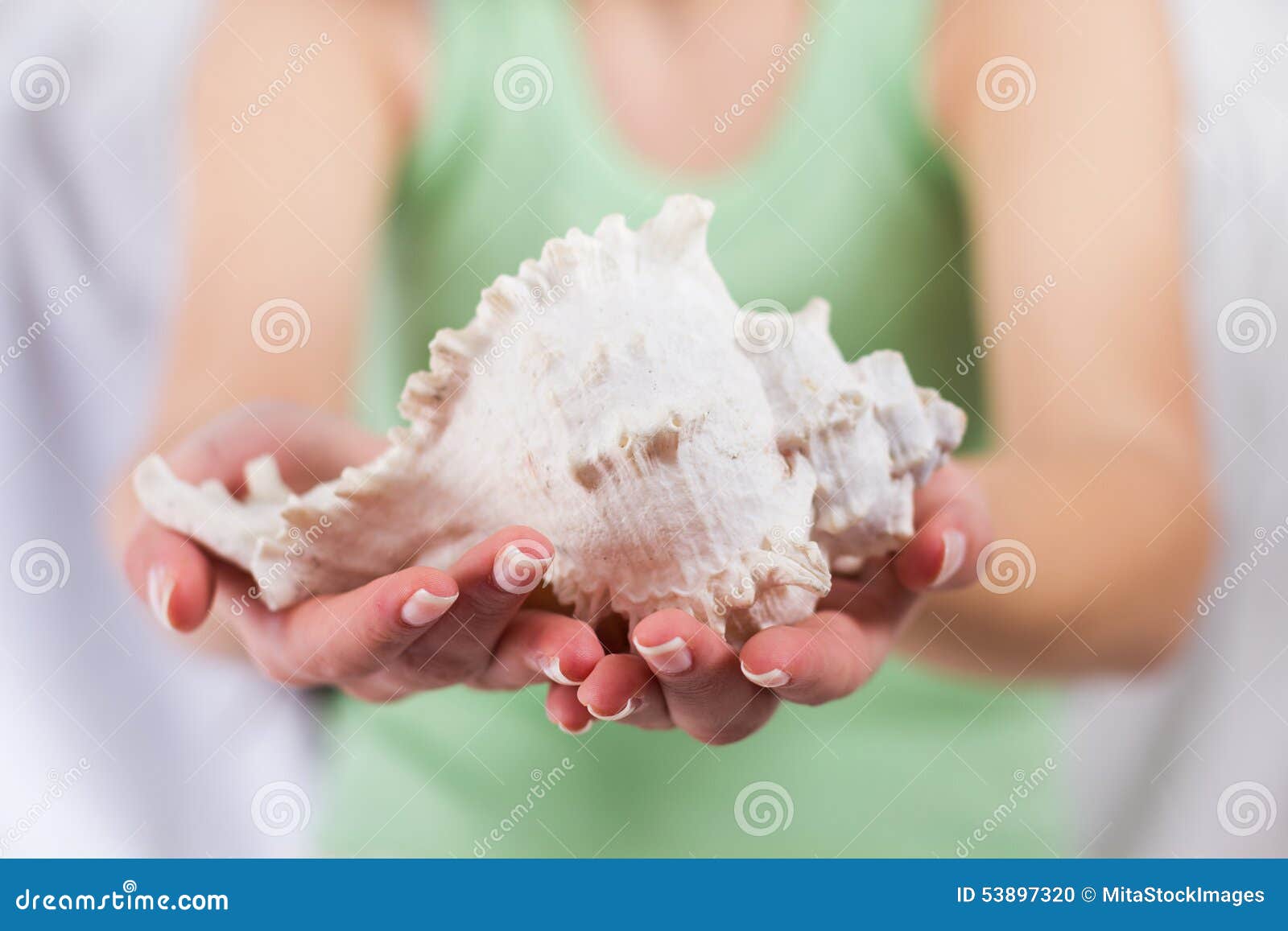 Seashell stock photo. Image of destination, hands, vacation - 53897320