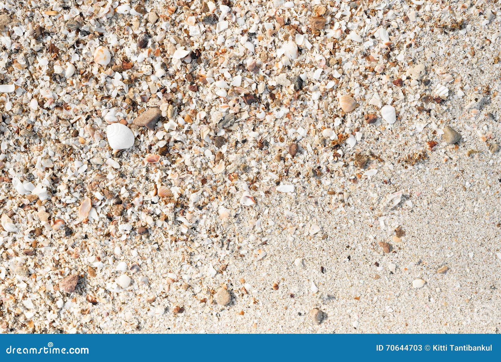 Seashell fragments on sand stock image. Image of wallpaper - 70644703