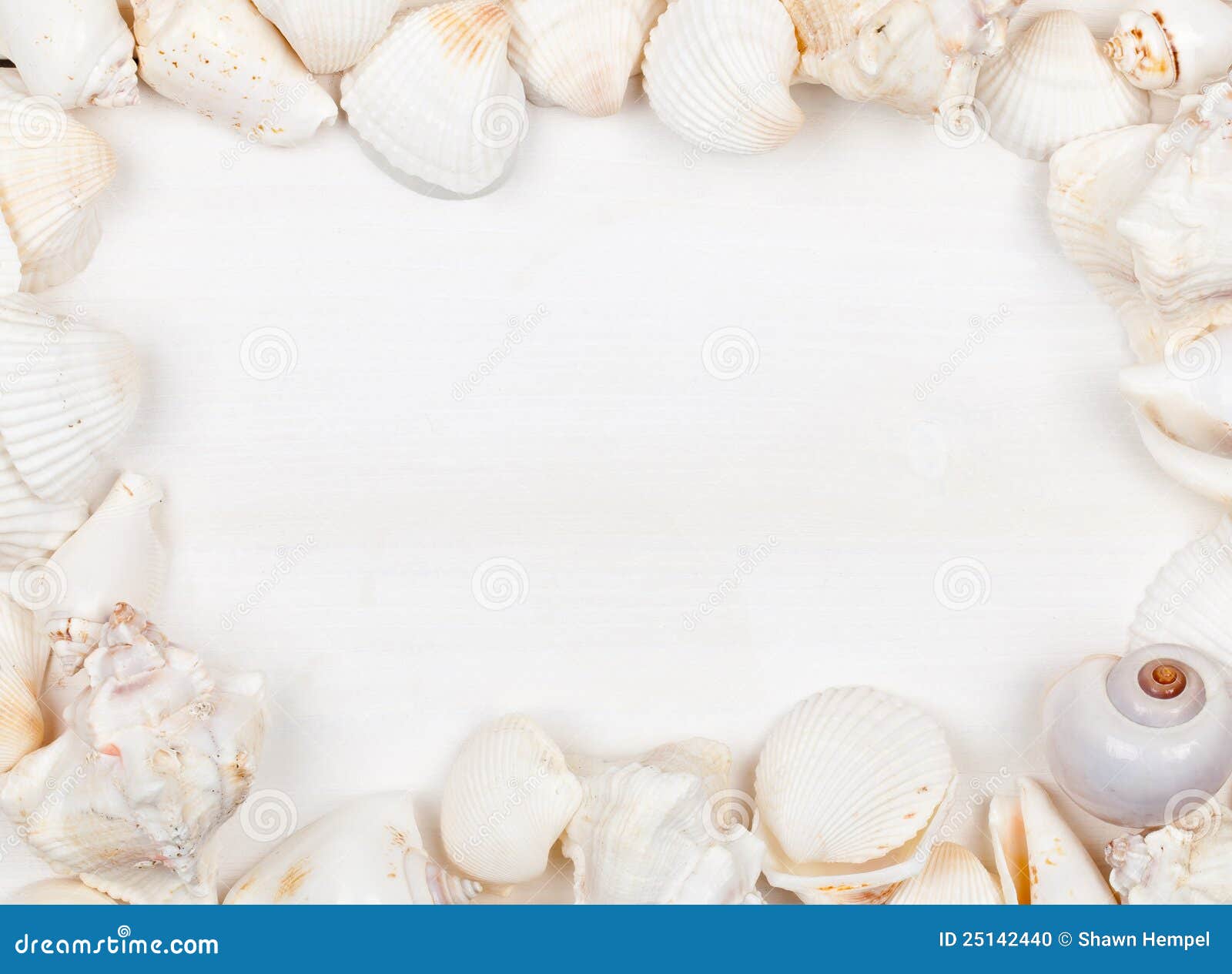 Seashell frame stock photo. Image of texture, assorted - 25142440