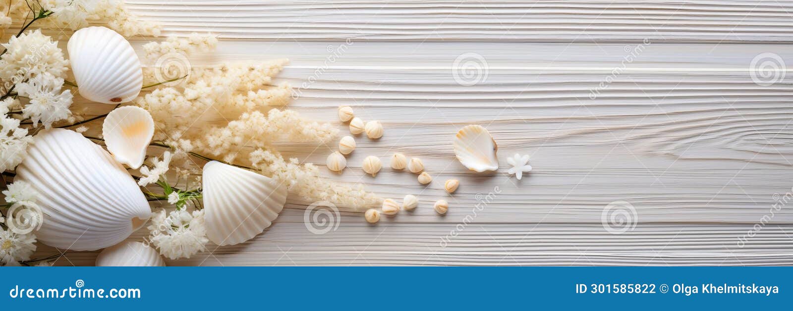 Seashell Frame Border for Text, Copy Space for Message or Design ...