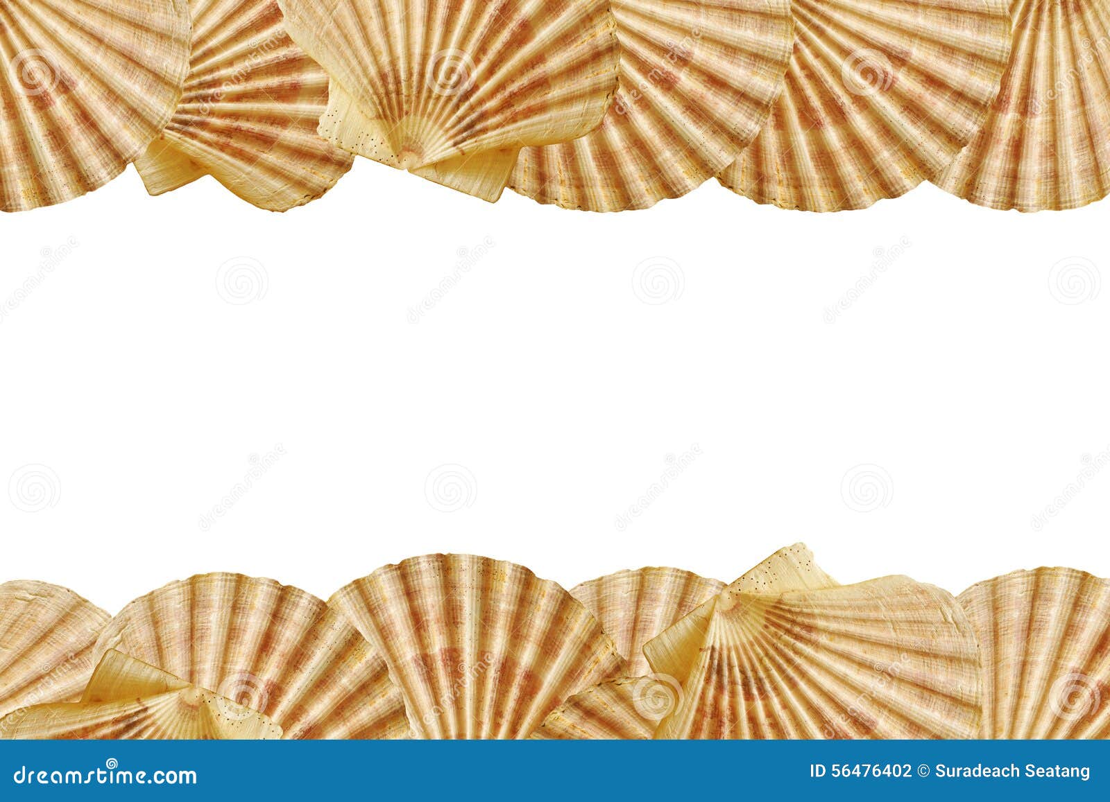 Seashell frame stock photo. Image of destinations, card - 56476402