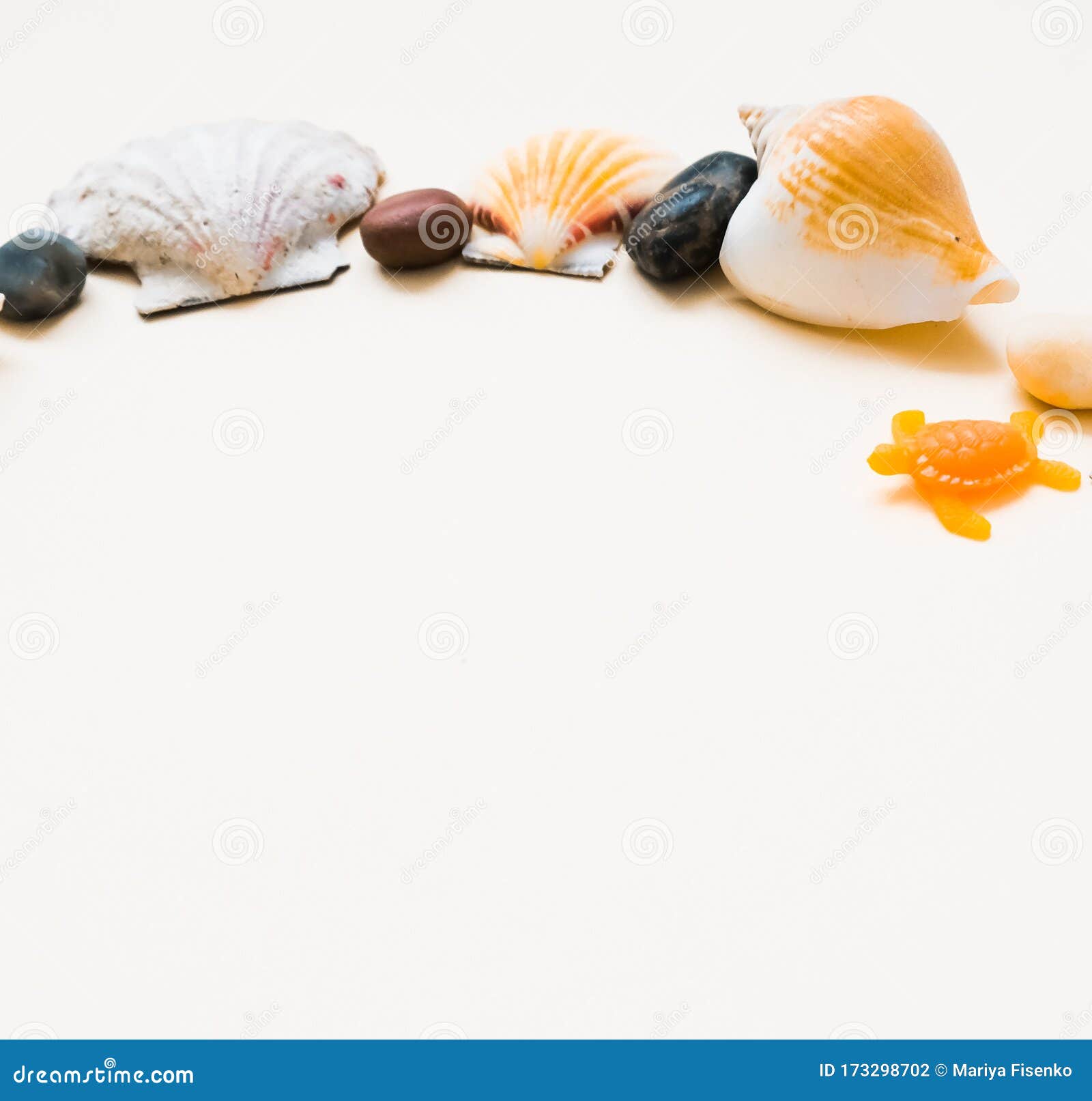Seashell Frame with Place for Text on a Light Background Stock Photo ...