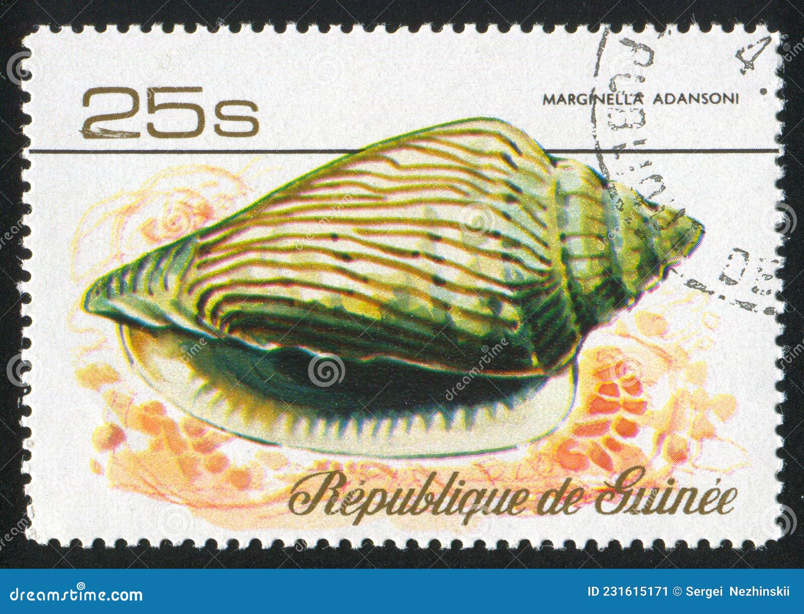 Seashell editorial photo. Image of stamp, mail, mollusk - 231615171