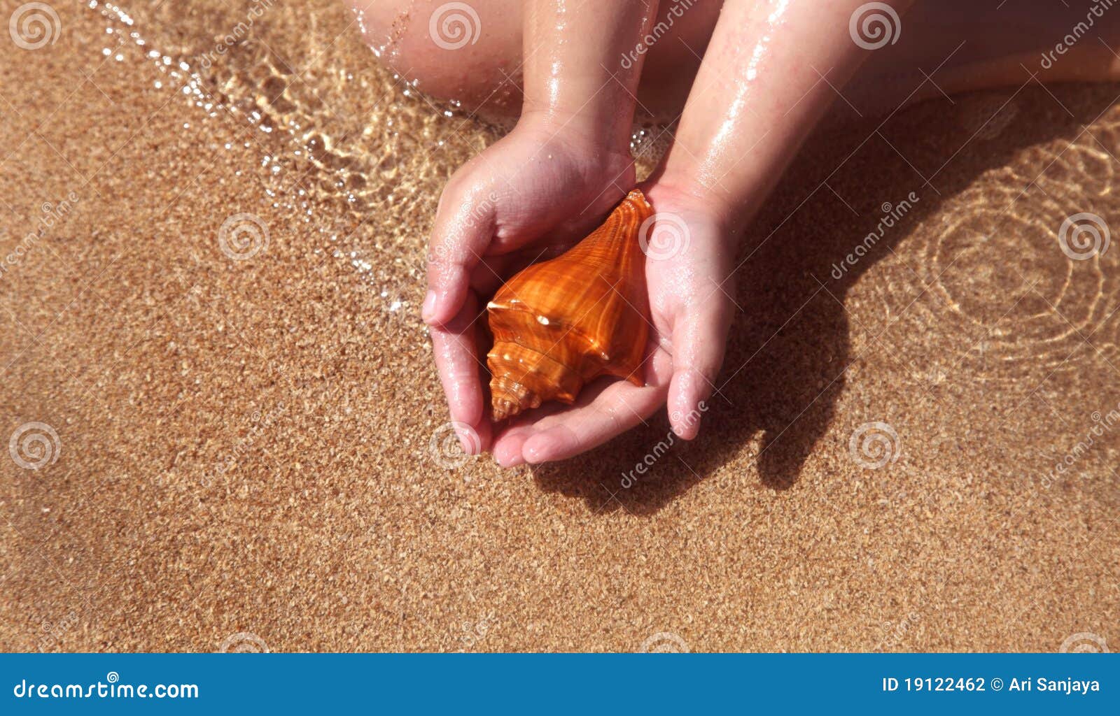 Seashell in the hand stock photo. Image of ocean, playing - 19122462