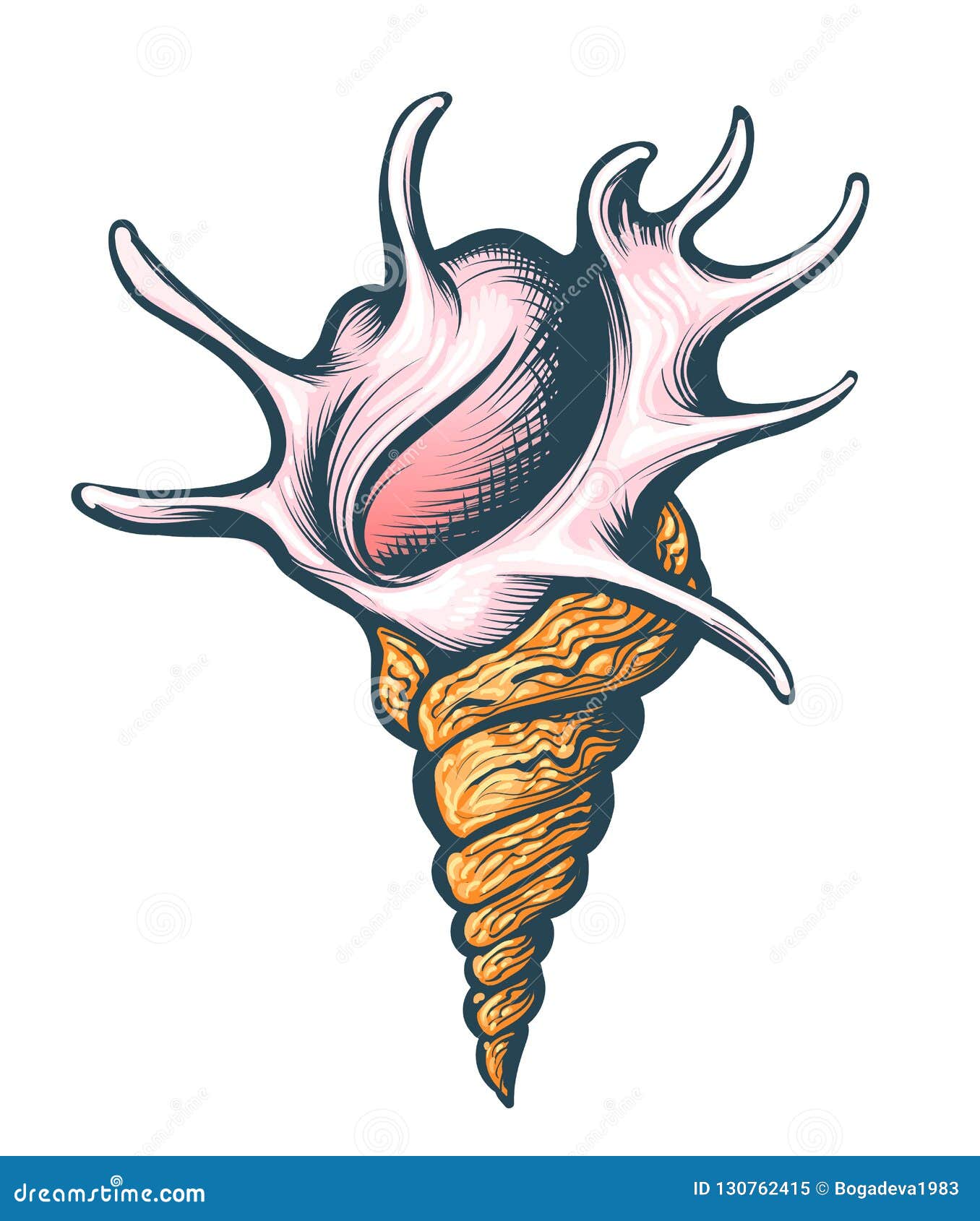 Seashell Hand Drawn Illustration Stock Vector - Illustration of drawn ...