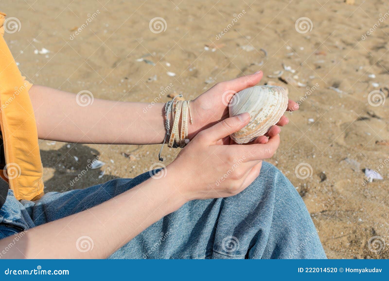 Seashell in the Hands of a Girl on the Beach Stock Photo - Image of ...