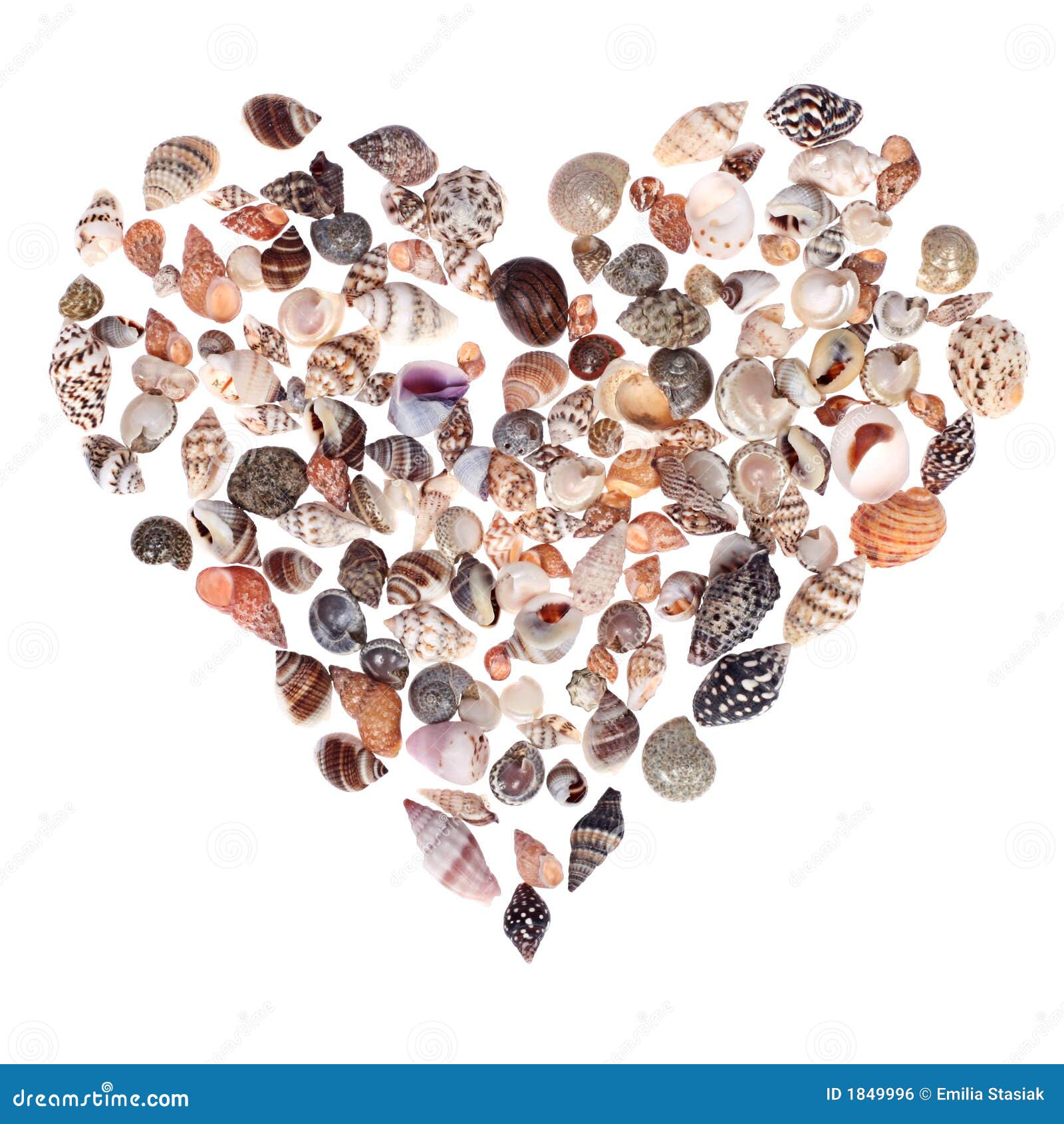 Seashell heart stock photo. Image of friendship, valentine - 1849996