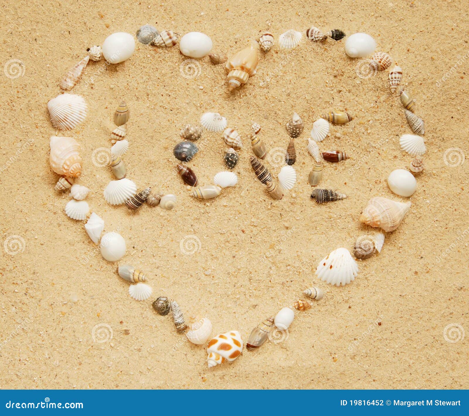 Seashell heart stock photo. Image of emotion, conch, shell - 19816452