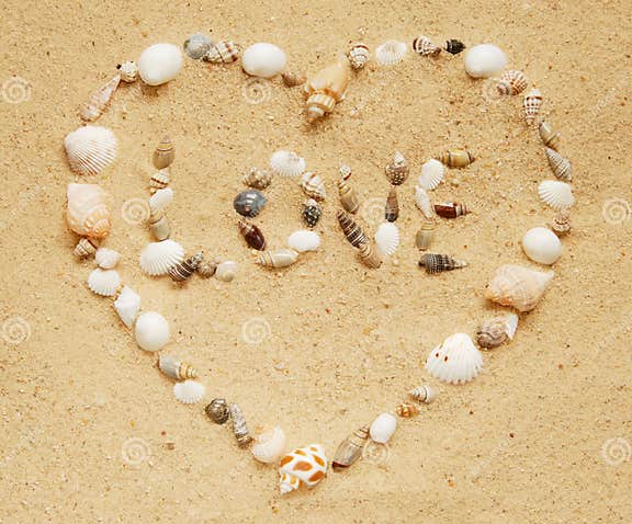 Seashell heart stock photo. Image of emotion, conch, shell - 19816452