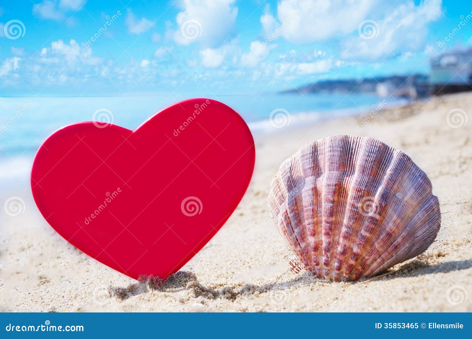 Seashell with Heart Shape by the Ocean Stock Image - Image of tropical ...