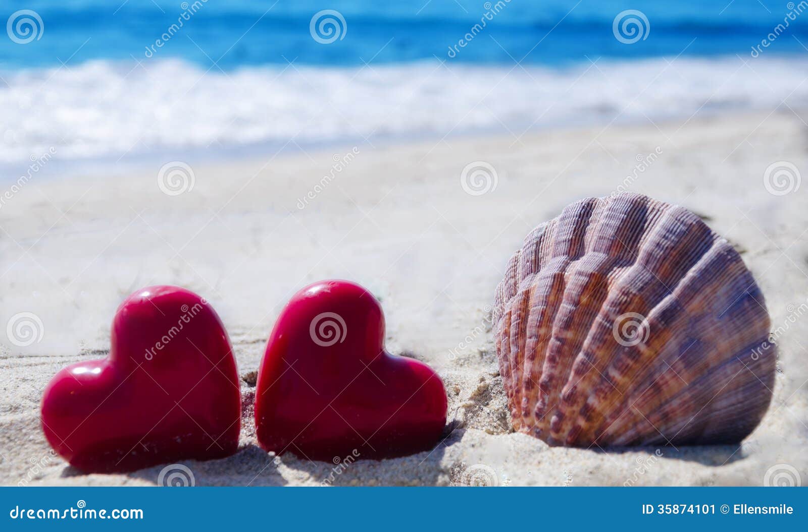 Seashell with Hearts by the Ocean Stock Image - Image of tropical ...
