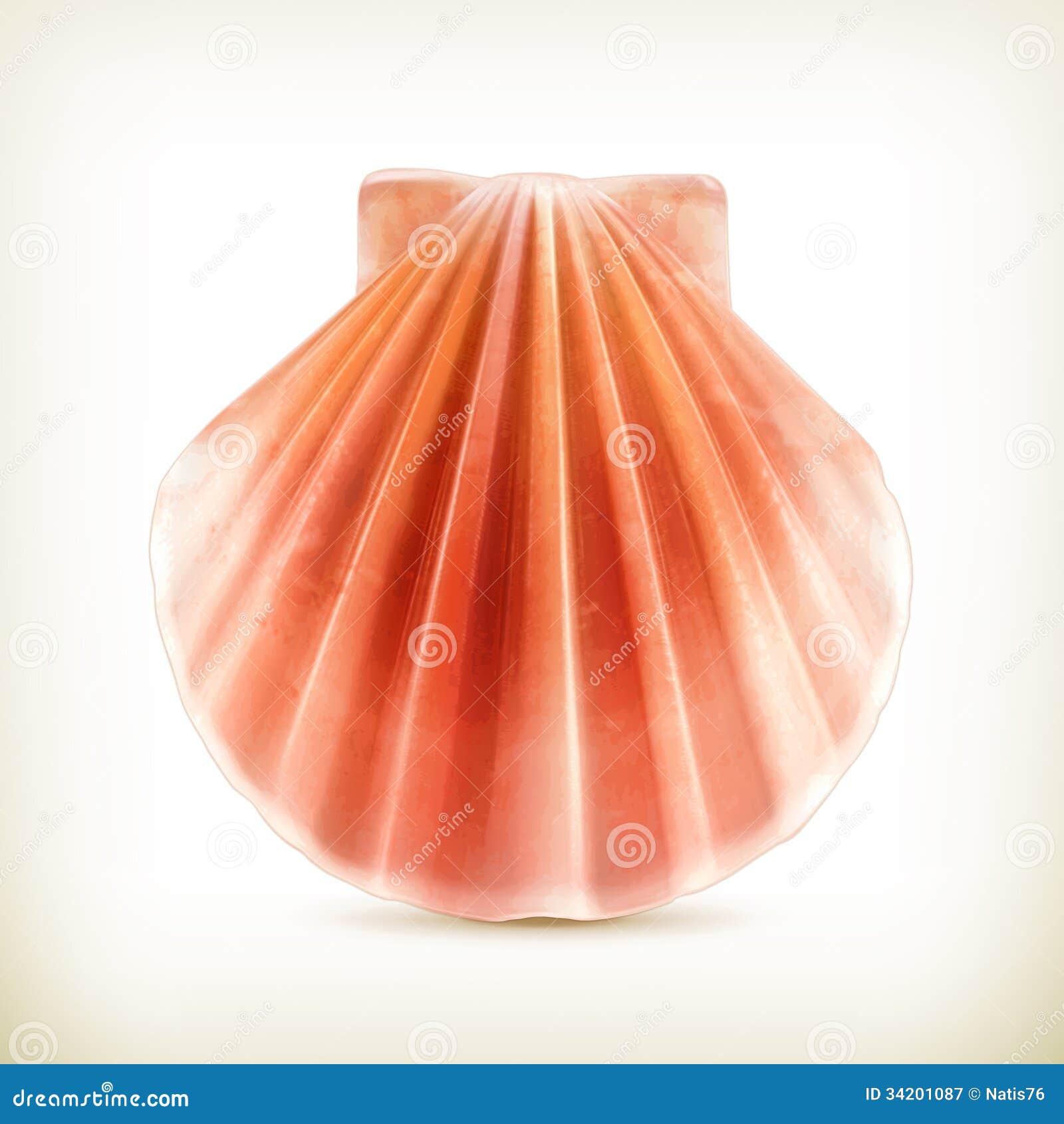 Seashell Icon, Decorative Natural Brown Shell Design Cartoon Vector ...