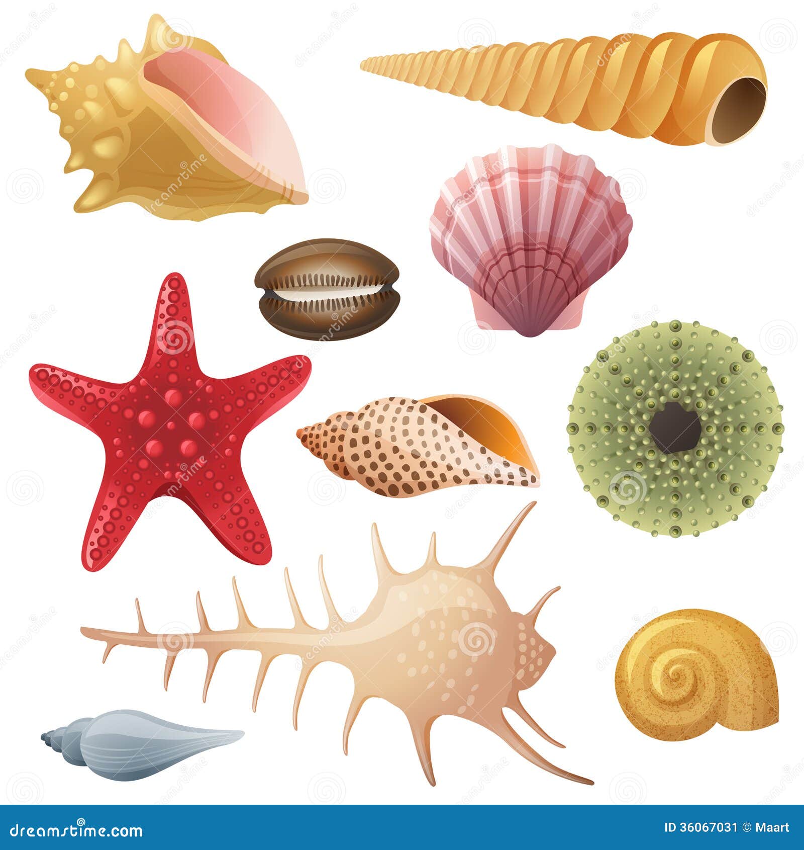 Seashell icons stock vector. Illustration of nautilus - 36067031