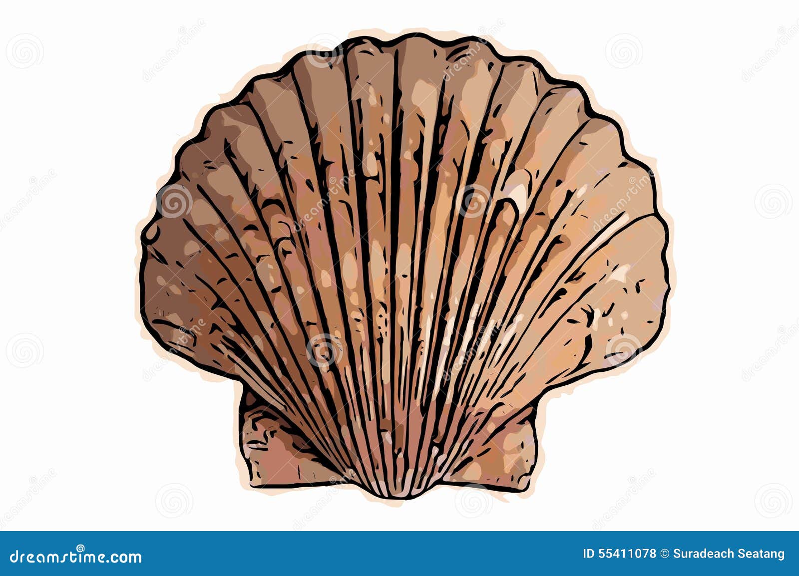 Seashell illustration stock illustration. Illustration of life - 55411078
