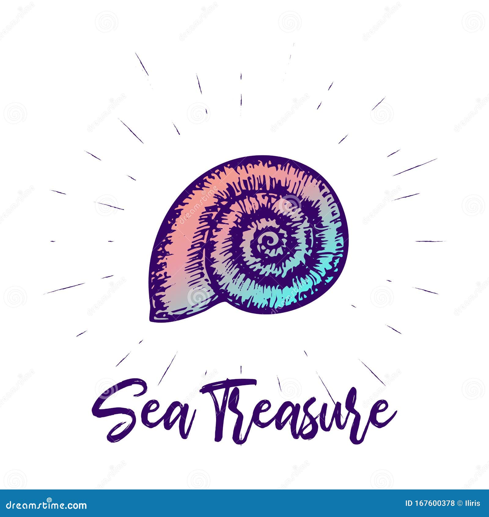 Seashell and Lettering Vector Design. Sea Creature Summer Hand Drawn ...