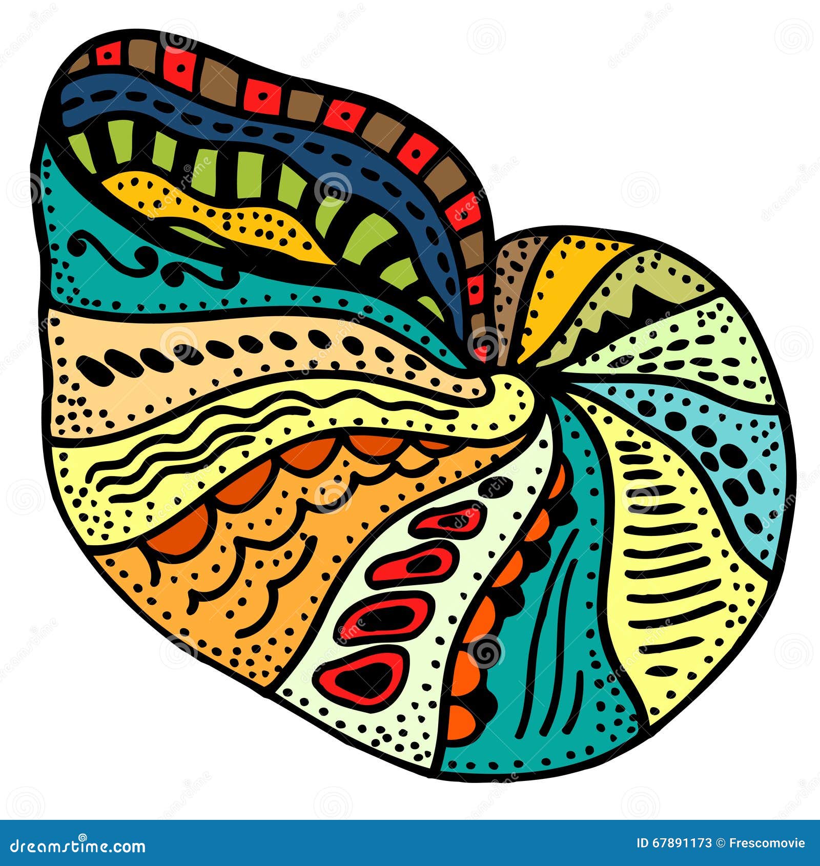 Seashell line art stock vector. Illustration of natural - 67891173