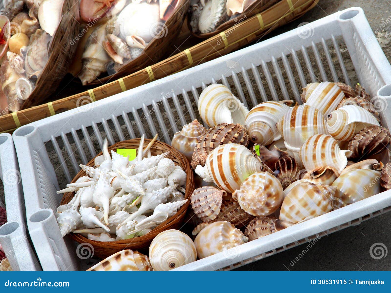 Seashell market stock photo. Image of vivid, shopping - 30531916