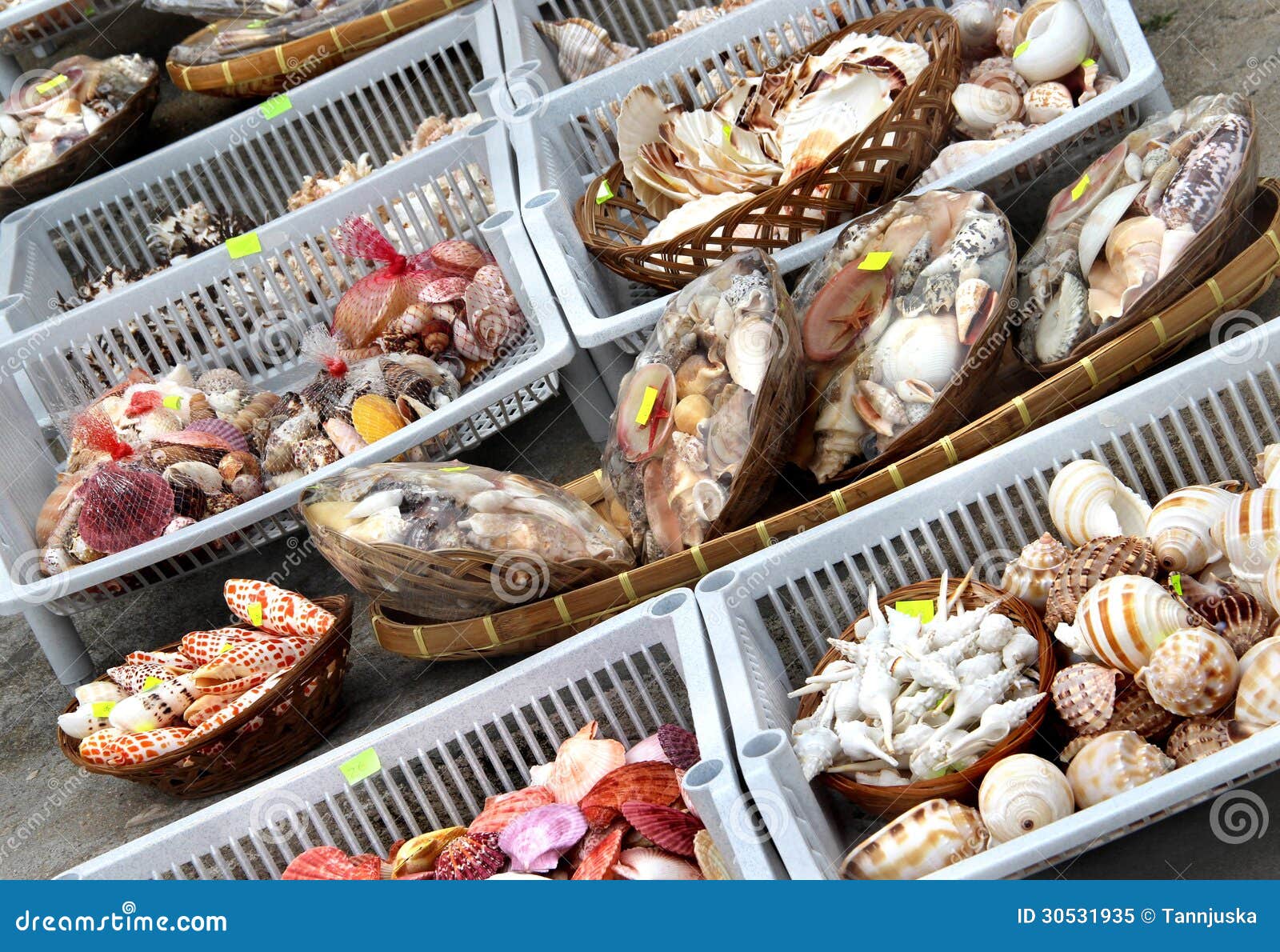 Seashell market stock image. Image of counter, product - 30531935