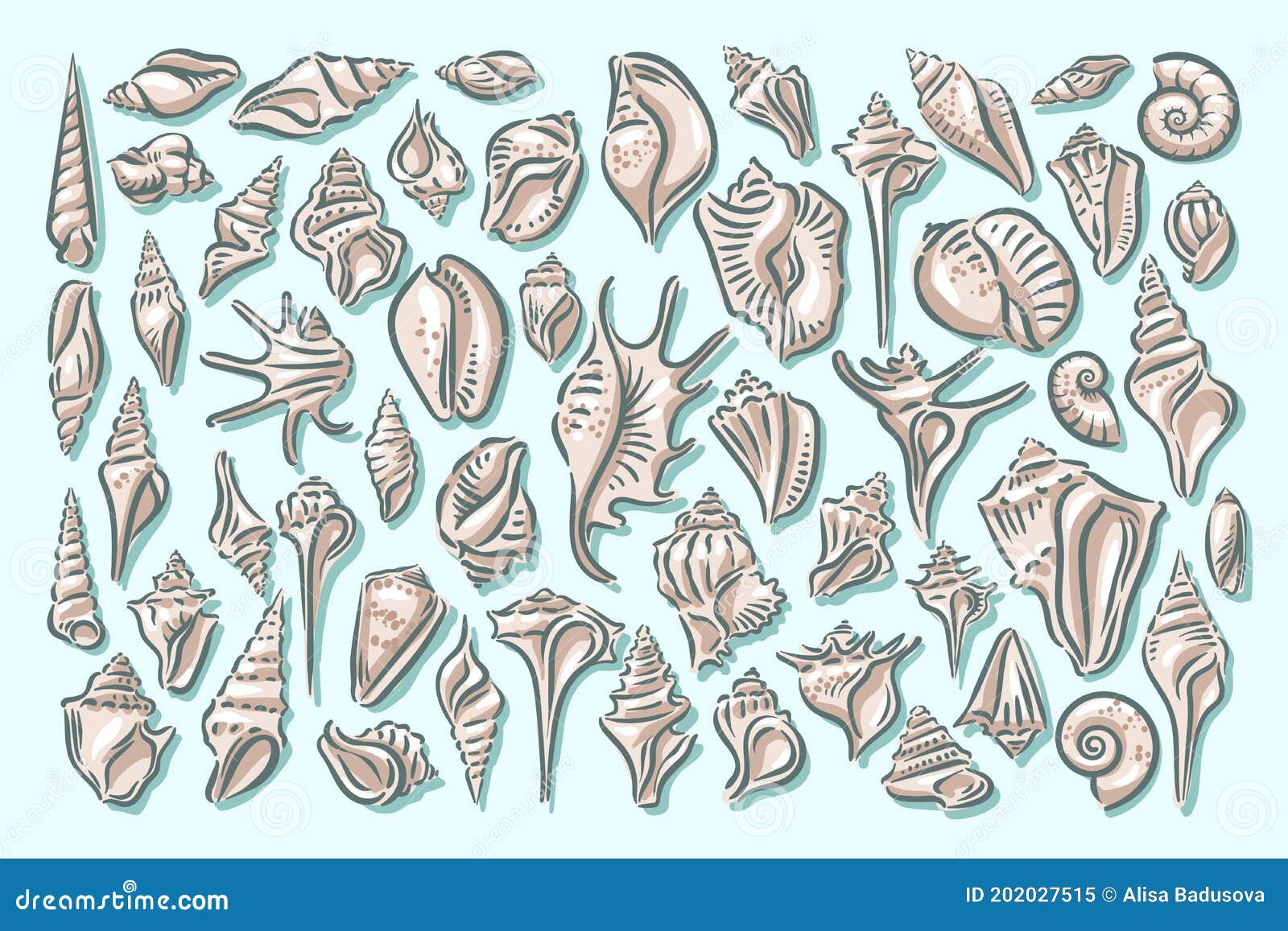 Seashell, Shell, Sea, Mollusk, Shellfish, Nautical Illustration Stock ...