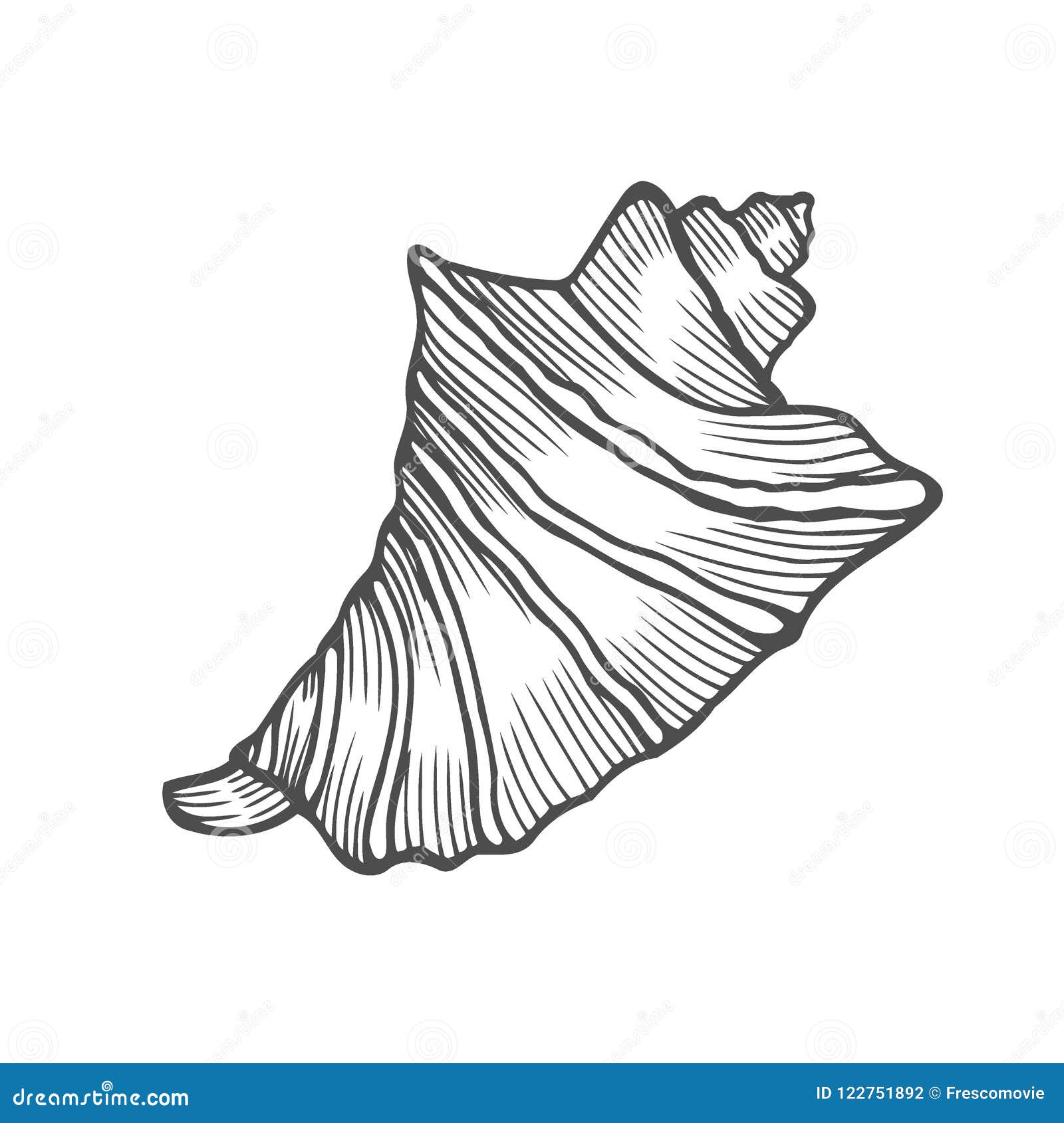 Seashell Nautilus Sea Shell Stock Vector - Illustration of design ... Seashell Nautilus Sea Shell Stock Vector - Illustration of design ...